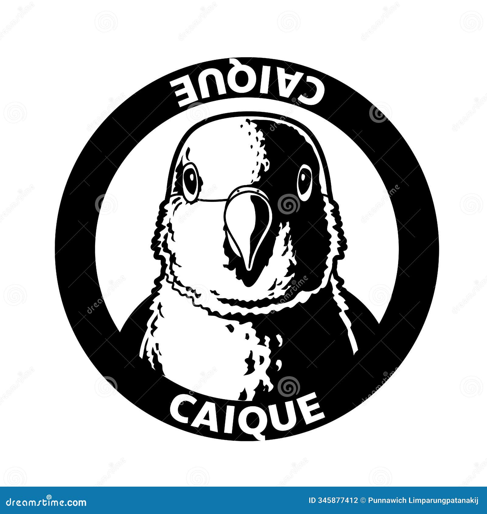 Cartoon Caique Parrot On White Background | CartoonDealer.com #262978733