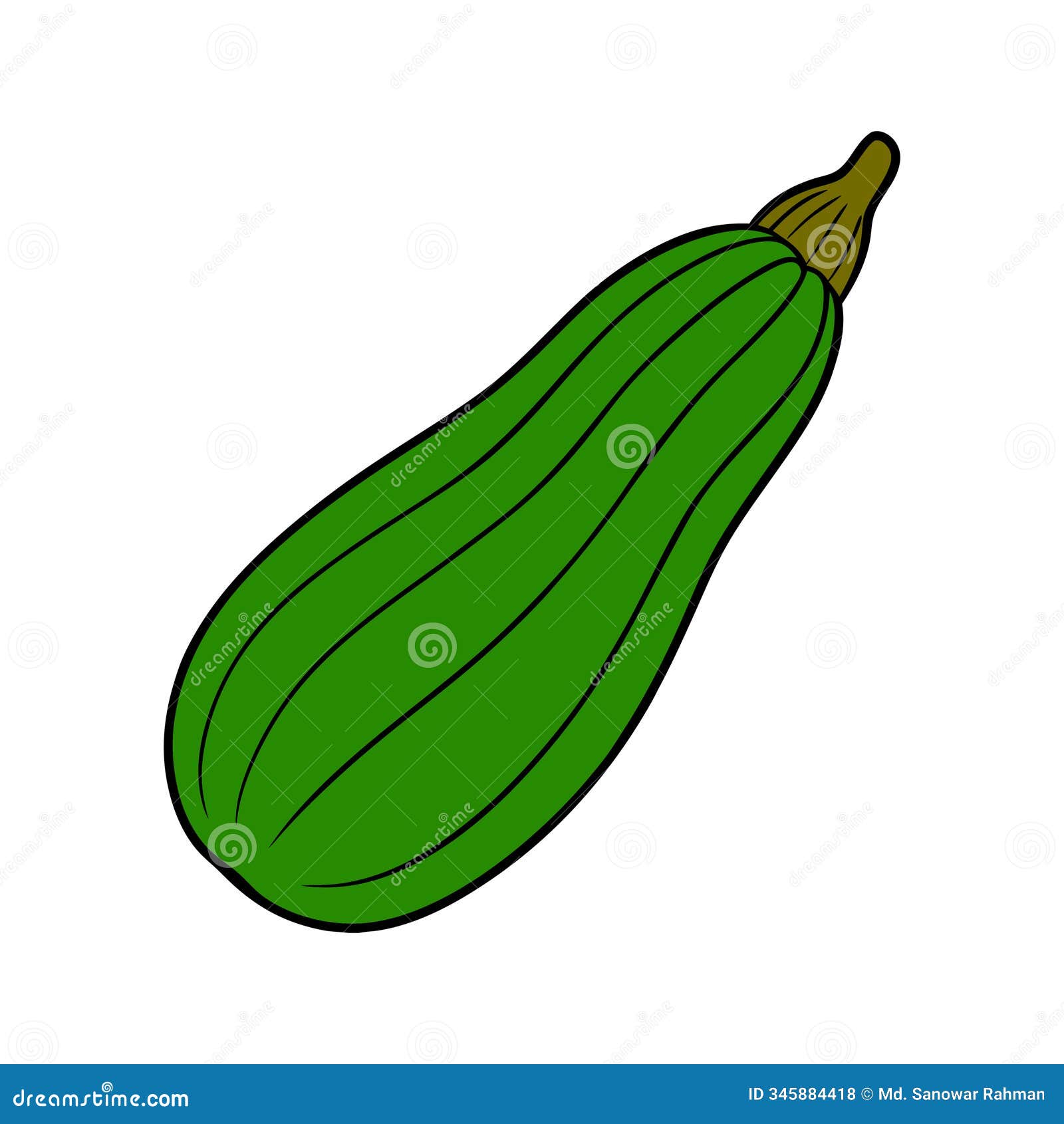 Zucchini Vector Art Creative Illustrations for Food and Culinary ...