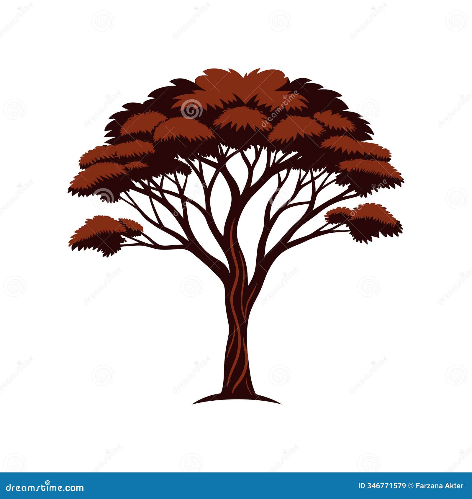 Acacia tree vector art stock illustration. Illustration of cartoon ...