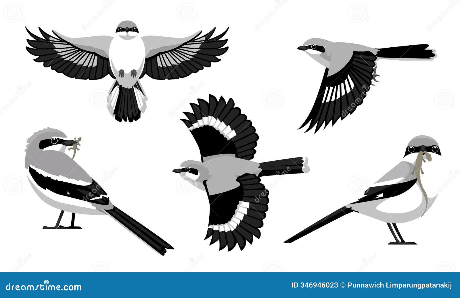 Bird Shrike Cartoon Cute Seamless Wallpaper Background Vector ...