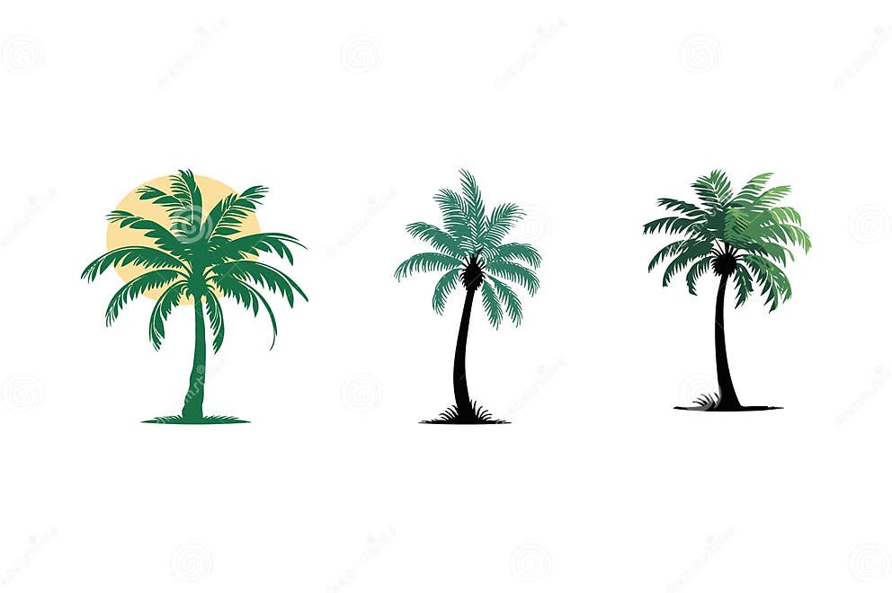 Beautiful Palm Tree Vector Art Illustration with White Background ...