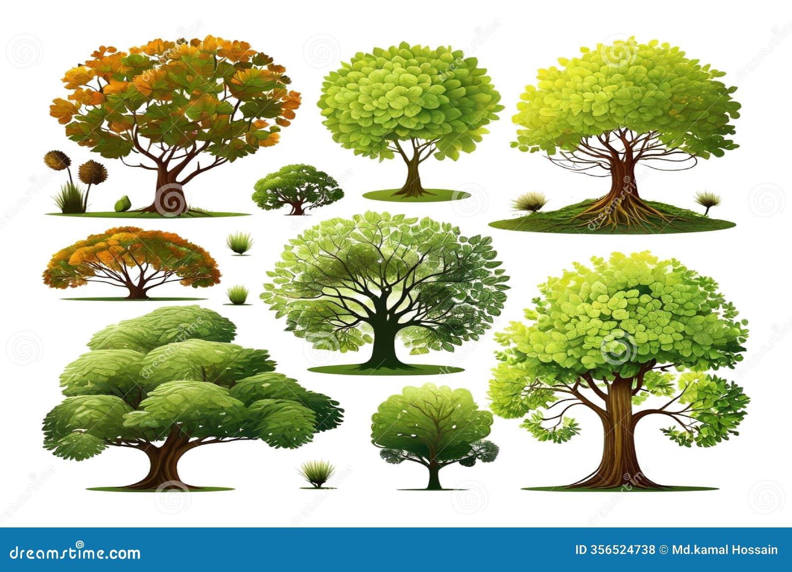 Vector Tree Set Trees Isolated on White Background . Stock Illustration ...