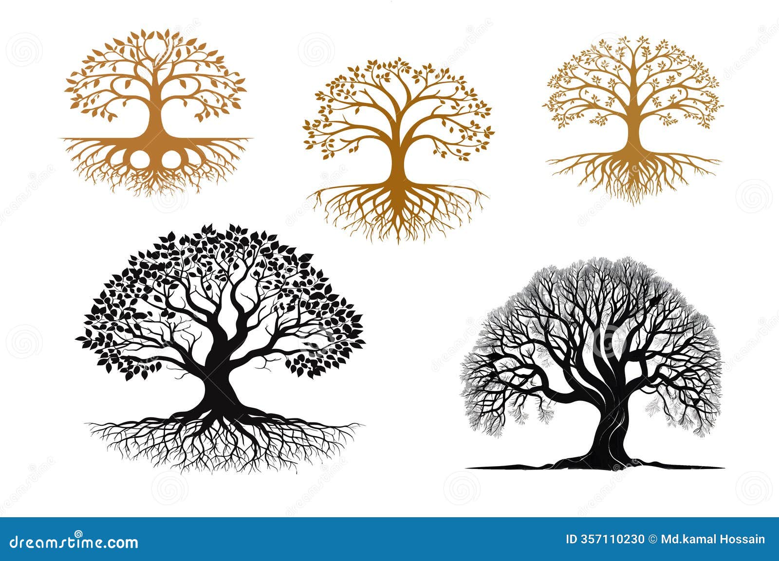 Set of Five Trees with Roots Isolated on White Background Stock ...