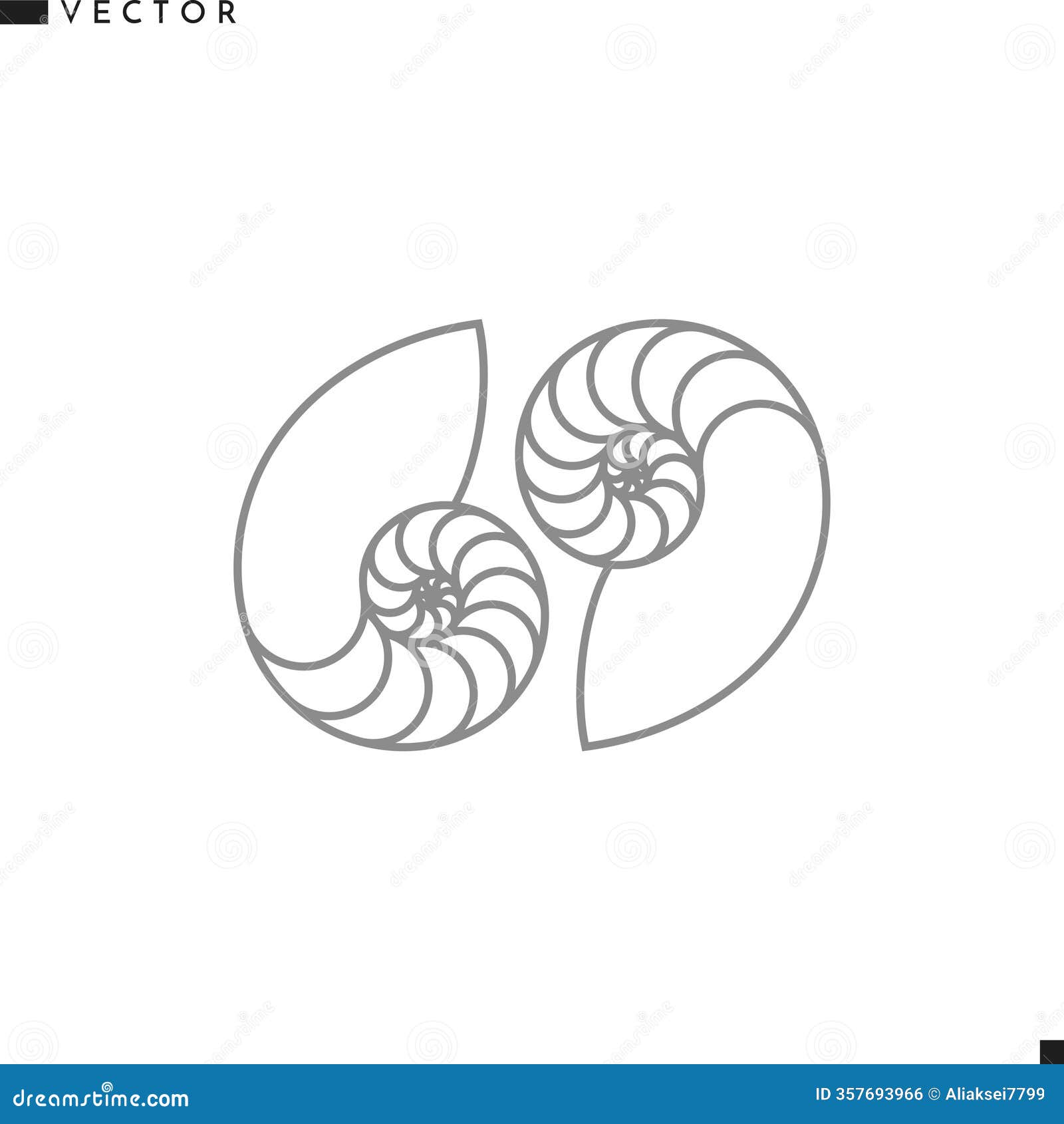 Nautilus Shell Spiral Structure. Illustrates Biomimicry In Architecture ...