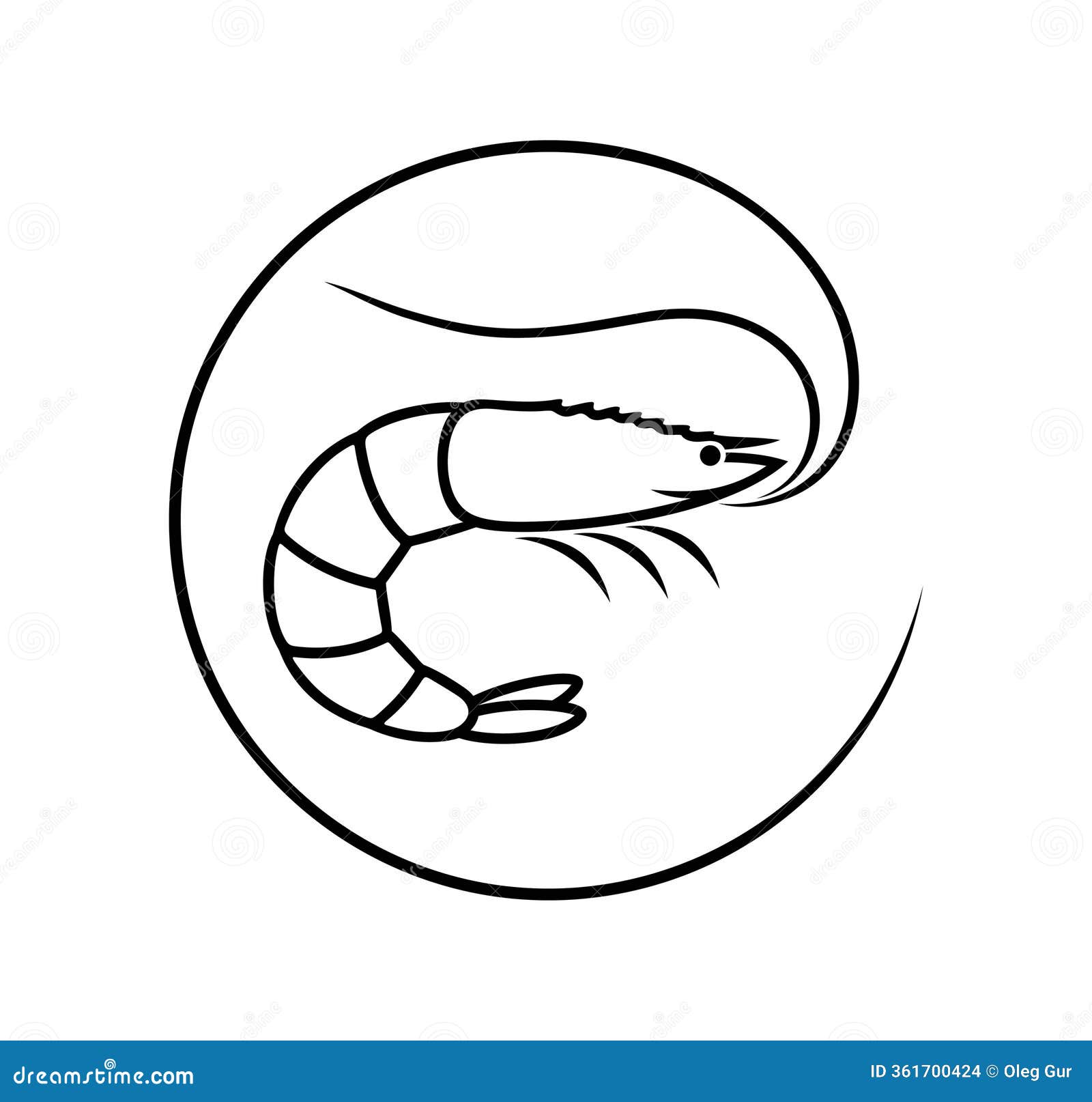 Shrimp Outline. Isolated Shrimp On White Background. Prawns Outline ...