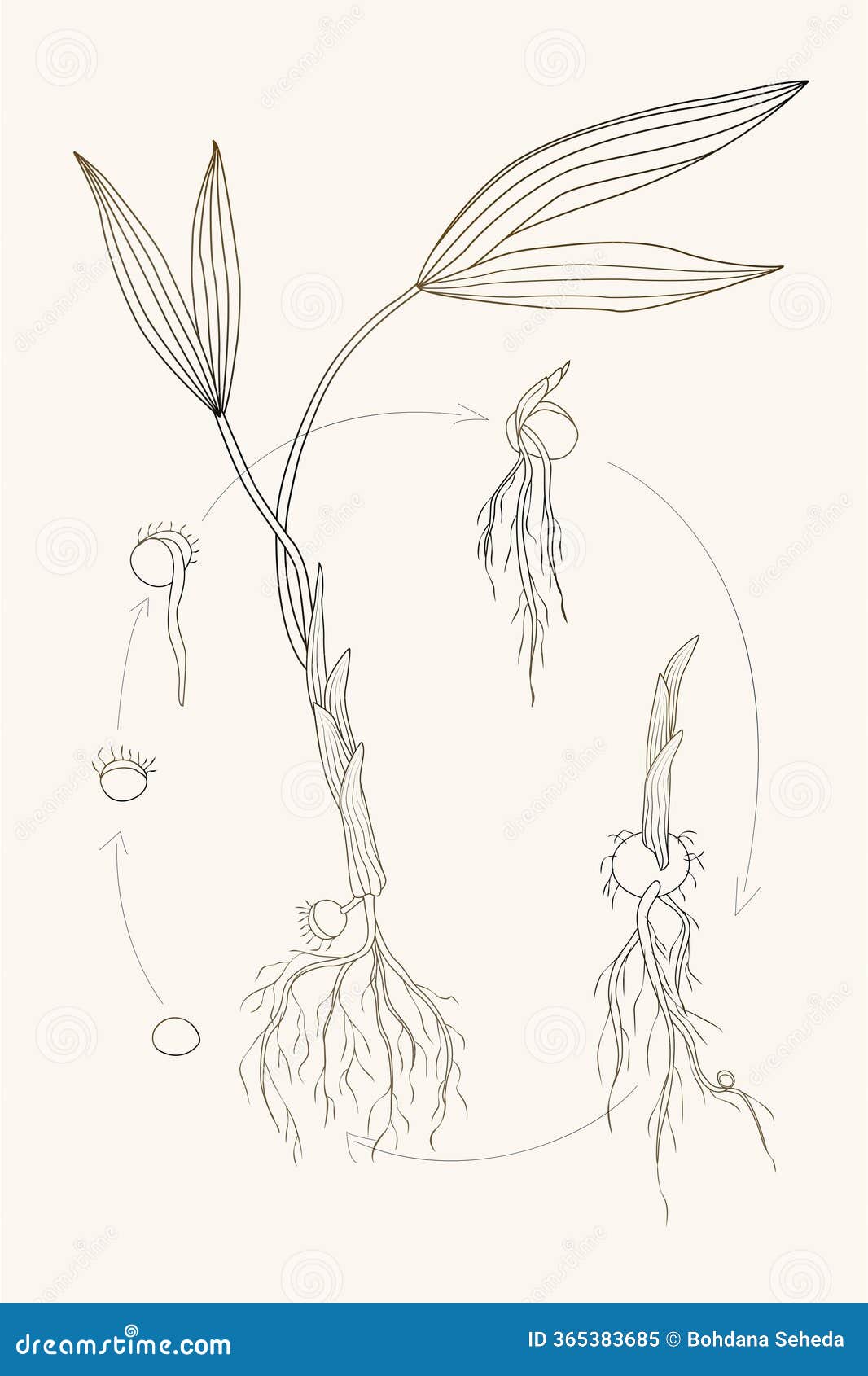 Outline Permaculture Icon Set With Sustainable Agriculture And Green ...