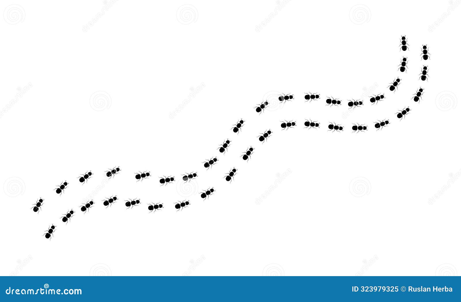 Ant Path. Black Insect Walking from Trail Stock Illustration ...