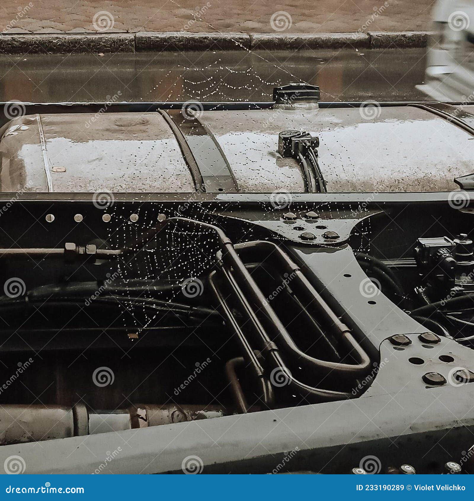 Obwebs Stock Photos - Free & Royalty-Free Stock Photos from Dreamstime