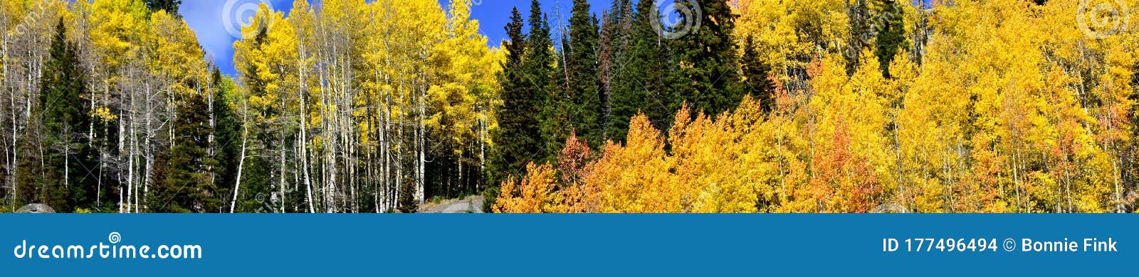 Web Banner of fall colors stock photo. Image of green - 177496494