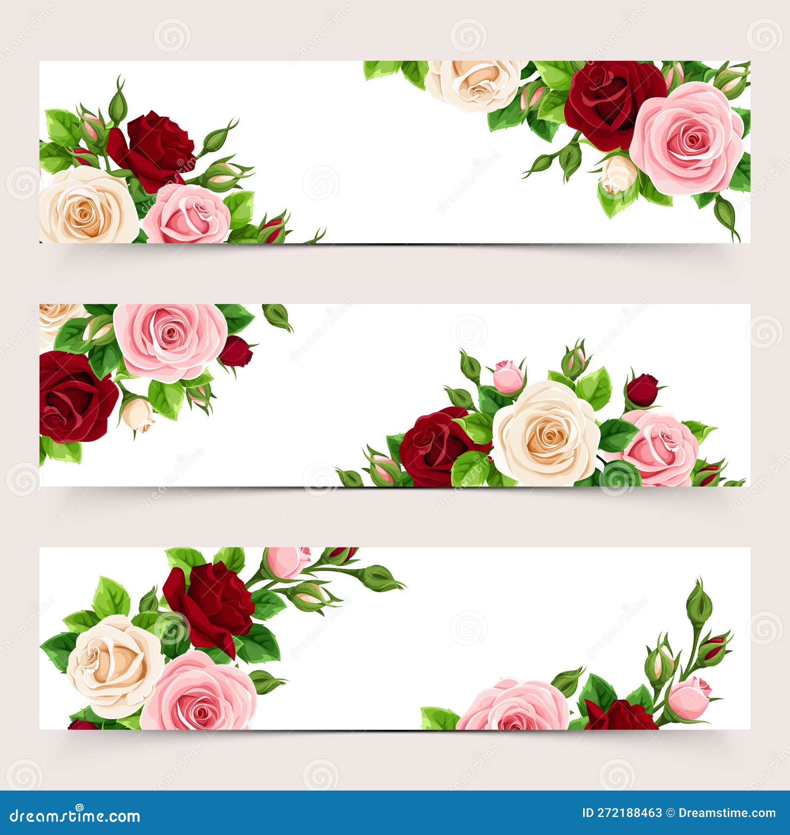 Web Banners with Pink, Burgundy, and White Roses. Vector Illustration ...