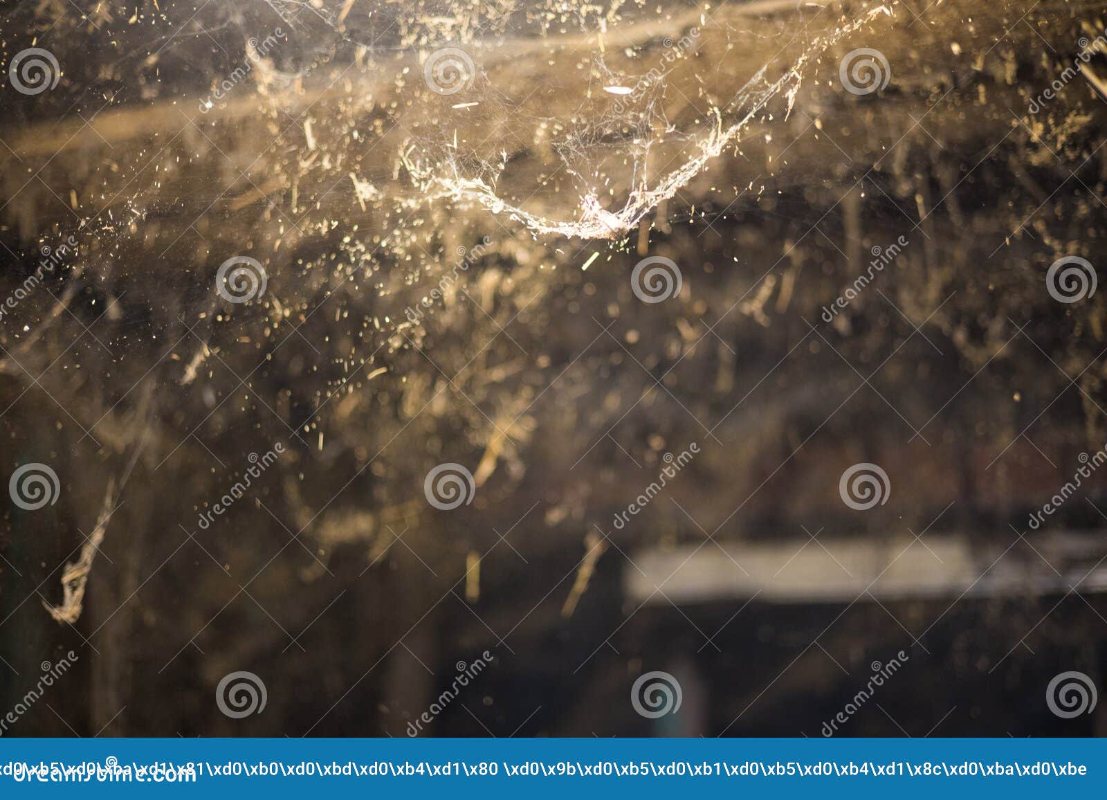 Web in the Barn. Sunbeams Illuminating Floating Dust Particles and ...