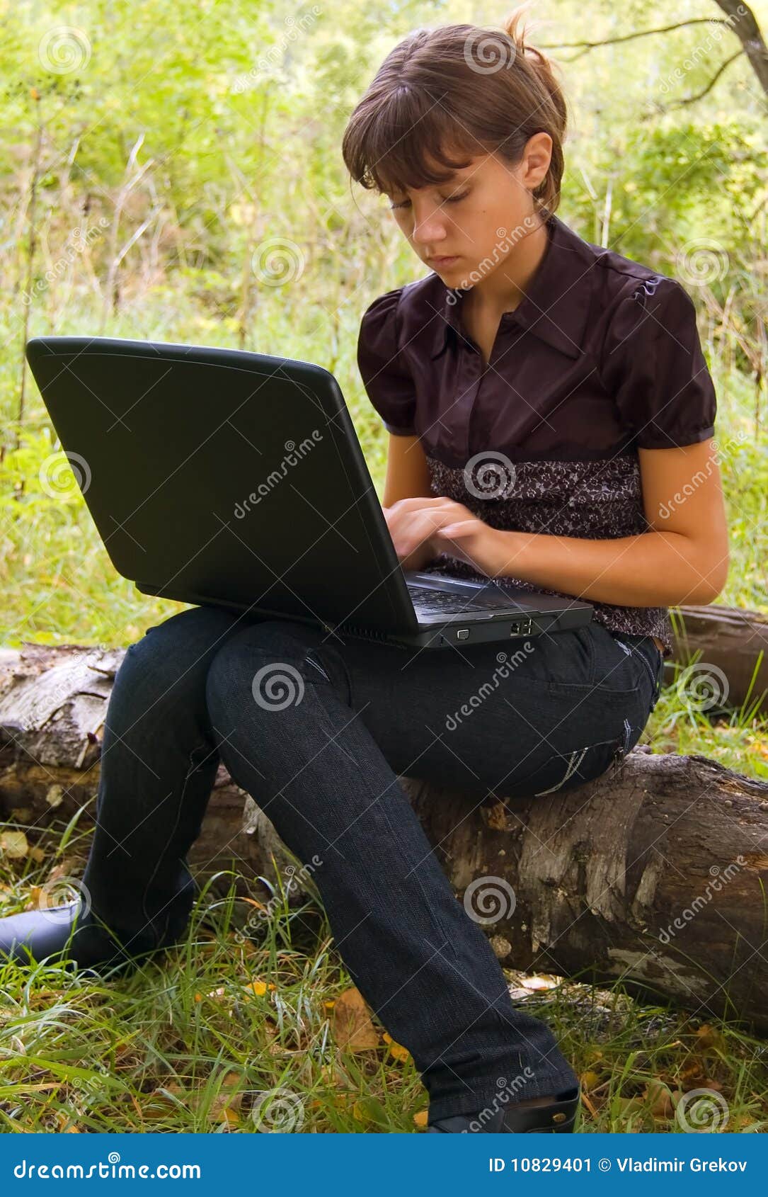 Web browsing in forest stock image. Image of lawn, garten - 10829401