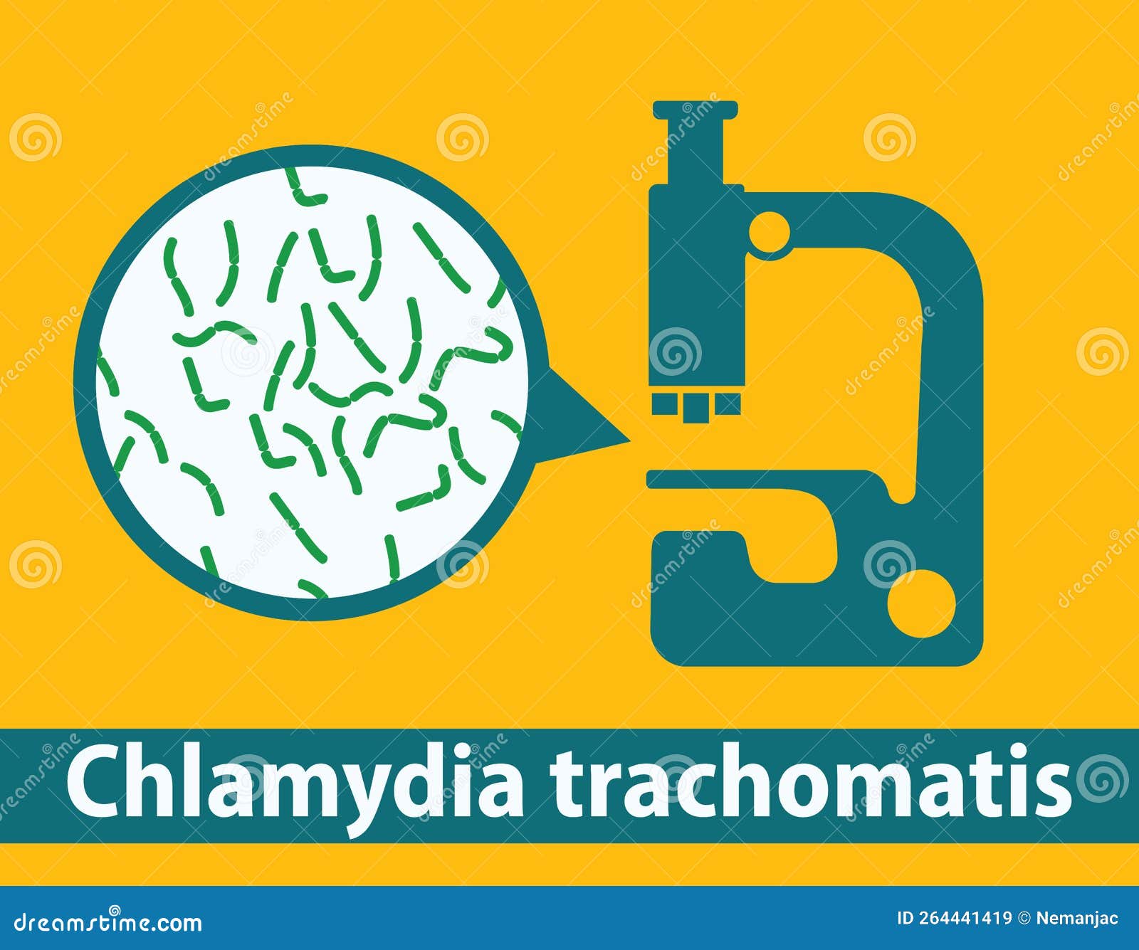 Chlamydia Trachomatis Bacteria Royalty-Free Cartoon | CartoonDealer.com ...