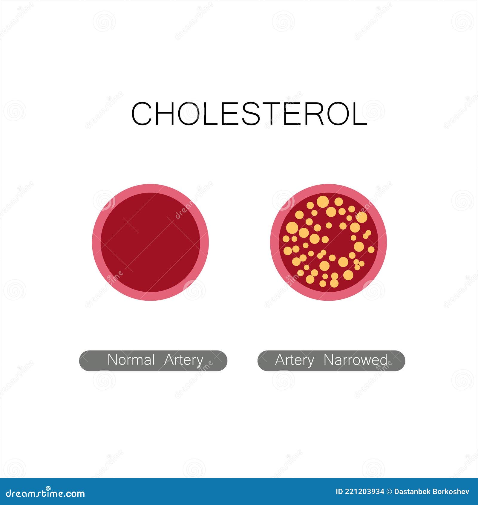 Web stock vector. Illustration of biology, anatomy, fresh - 221203934