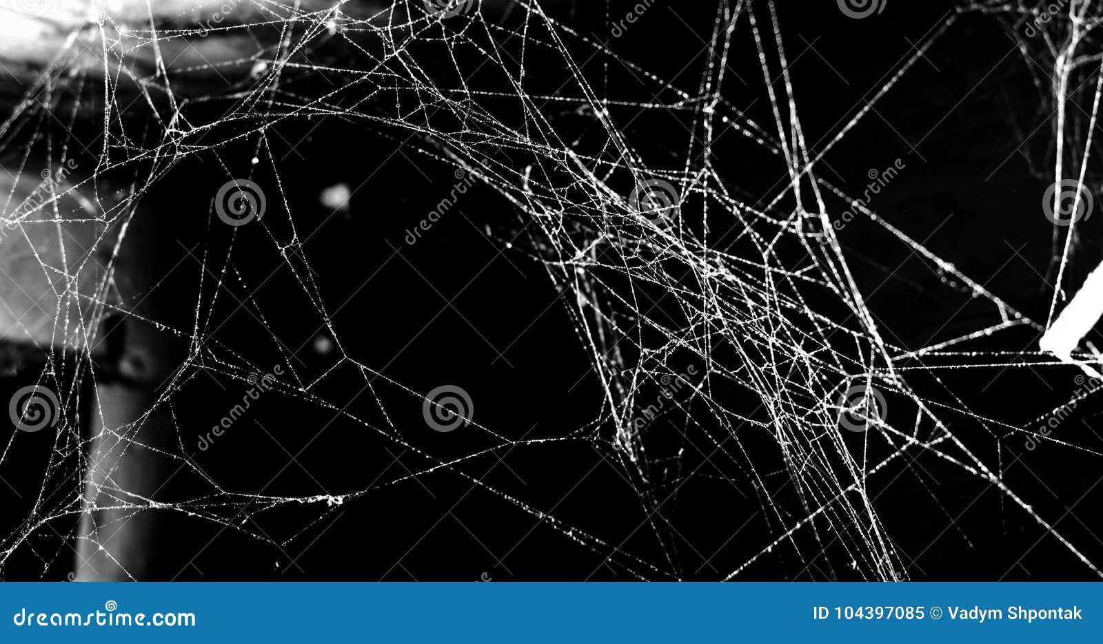 Spider Web on a Dark Background Stock Image - Image of fear, haunted ...