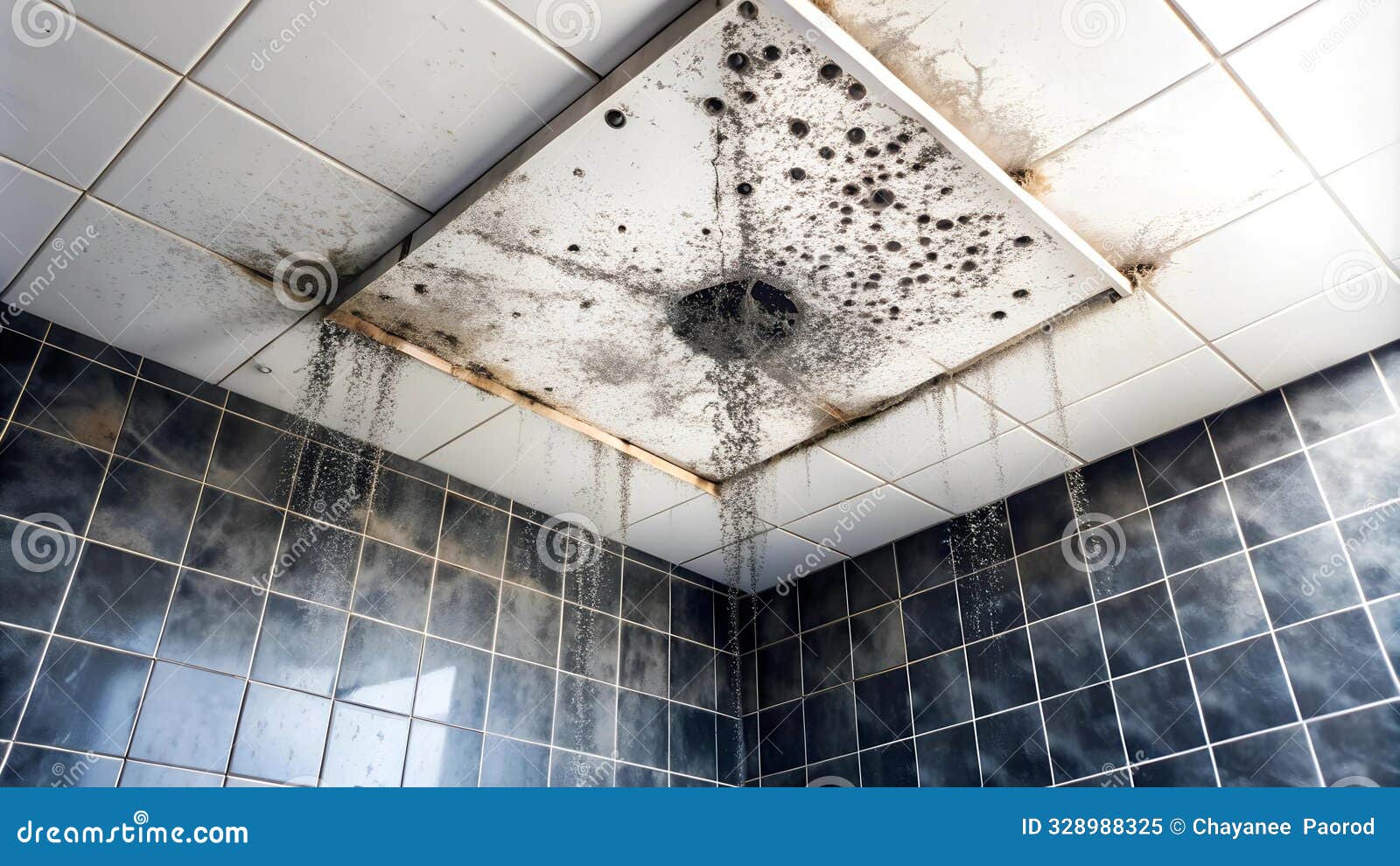 Encroachment Cartoons, Illustrations & Vector Stock Images - 473 ...