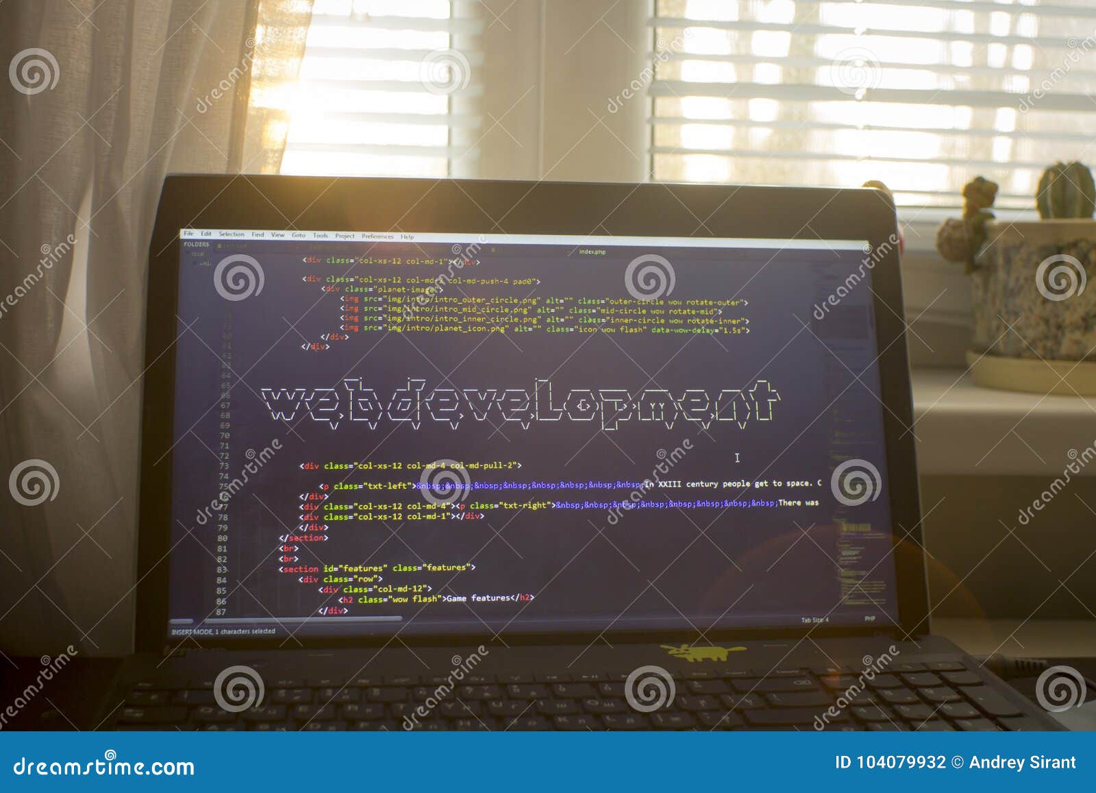 Web Development Phrase Ascii Art Inside Html Code Web Developer Workplace In Sunset Lights