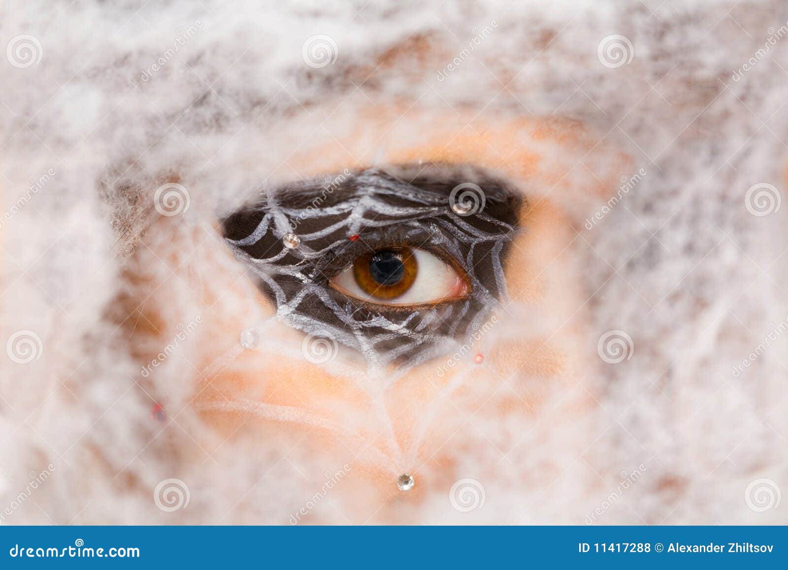 Web eye stock photo. Image of macro, cosmetics, fashion - 11417288