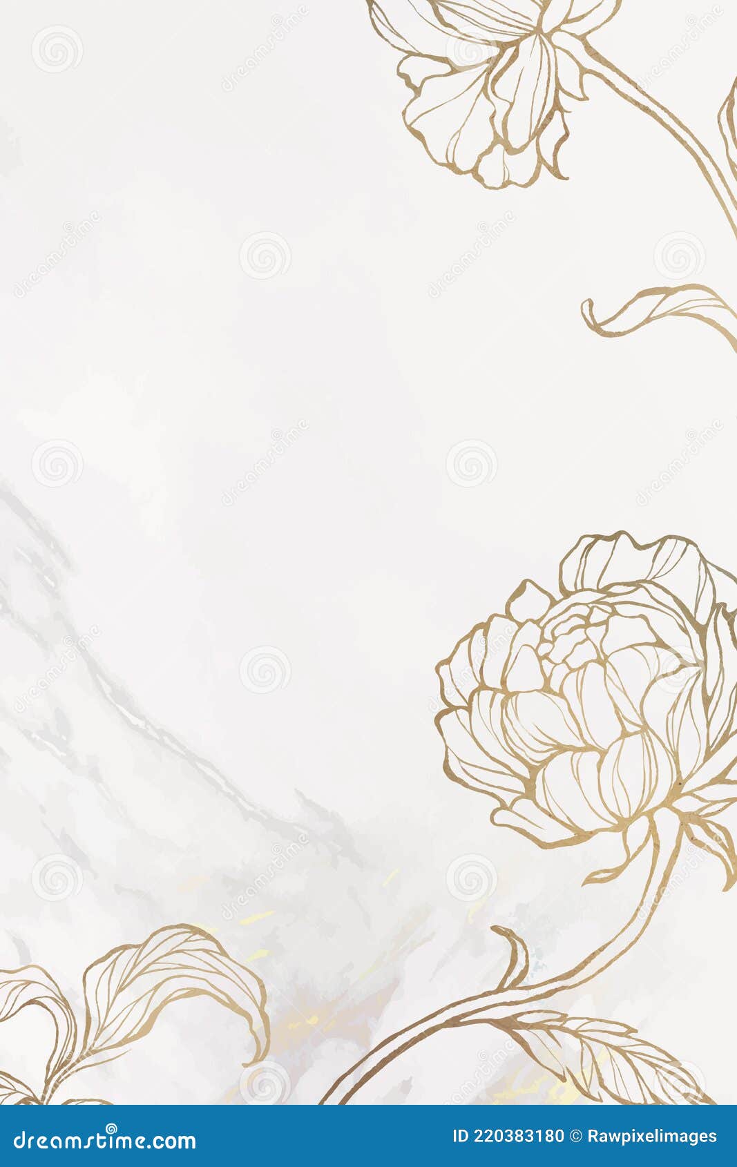 Floral Outline Frames And Borders. Monogram Mono Vector Illustration ...