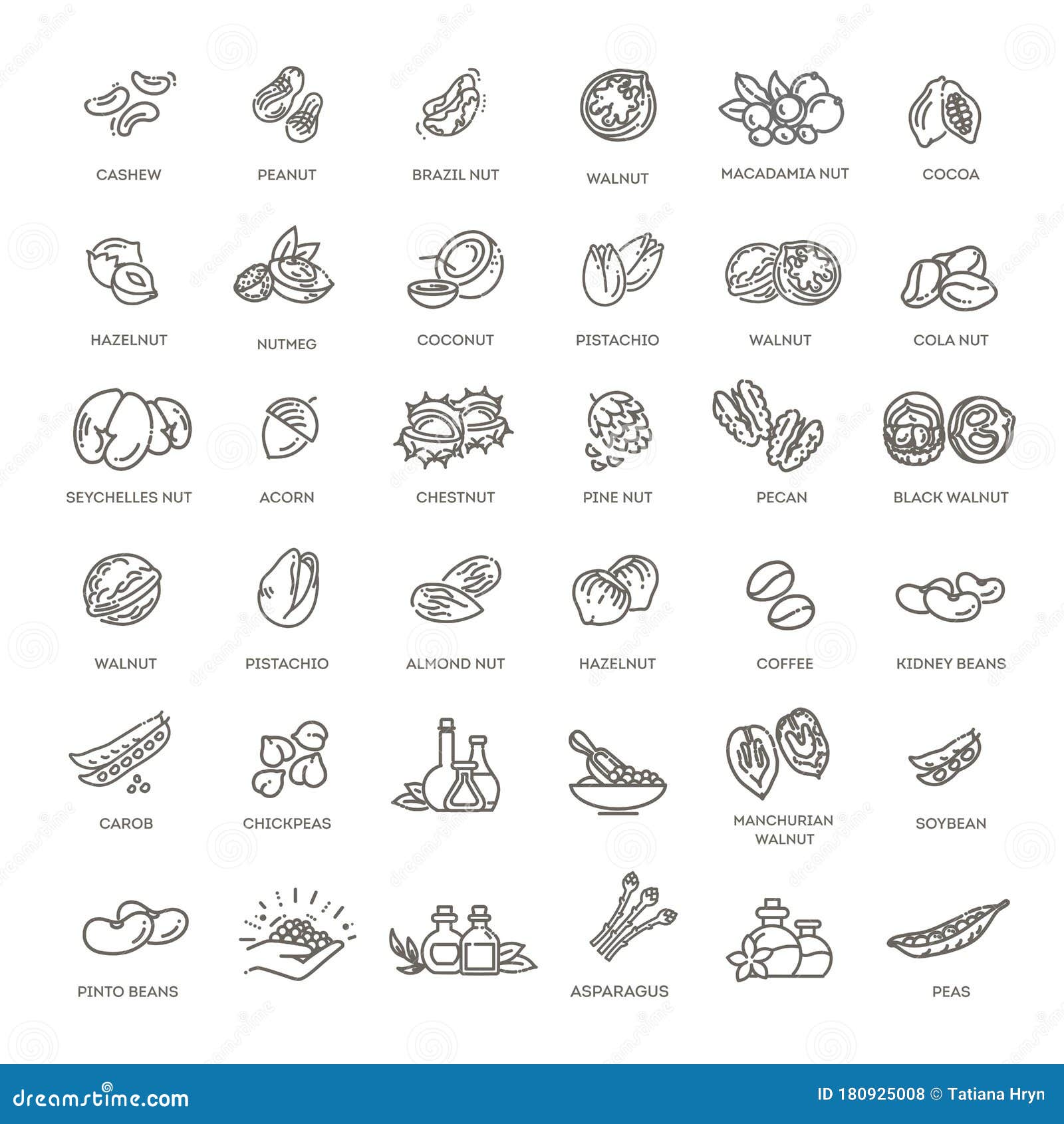 Nuts, Beans And Seeds Line Icon Set, Food Symbols Collection, Vector ...