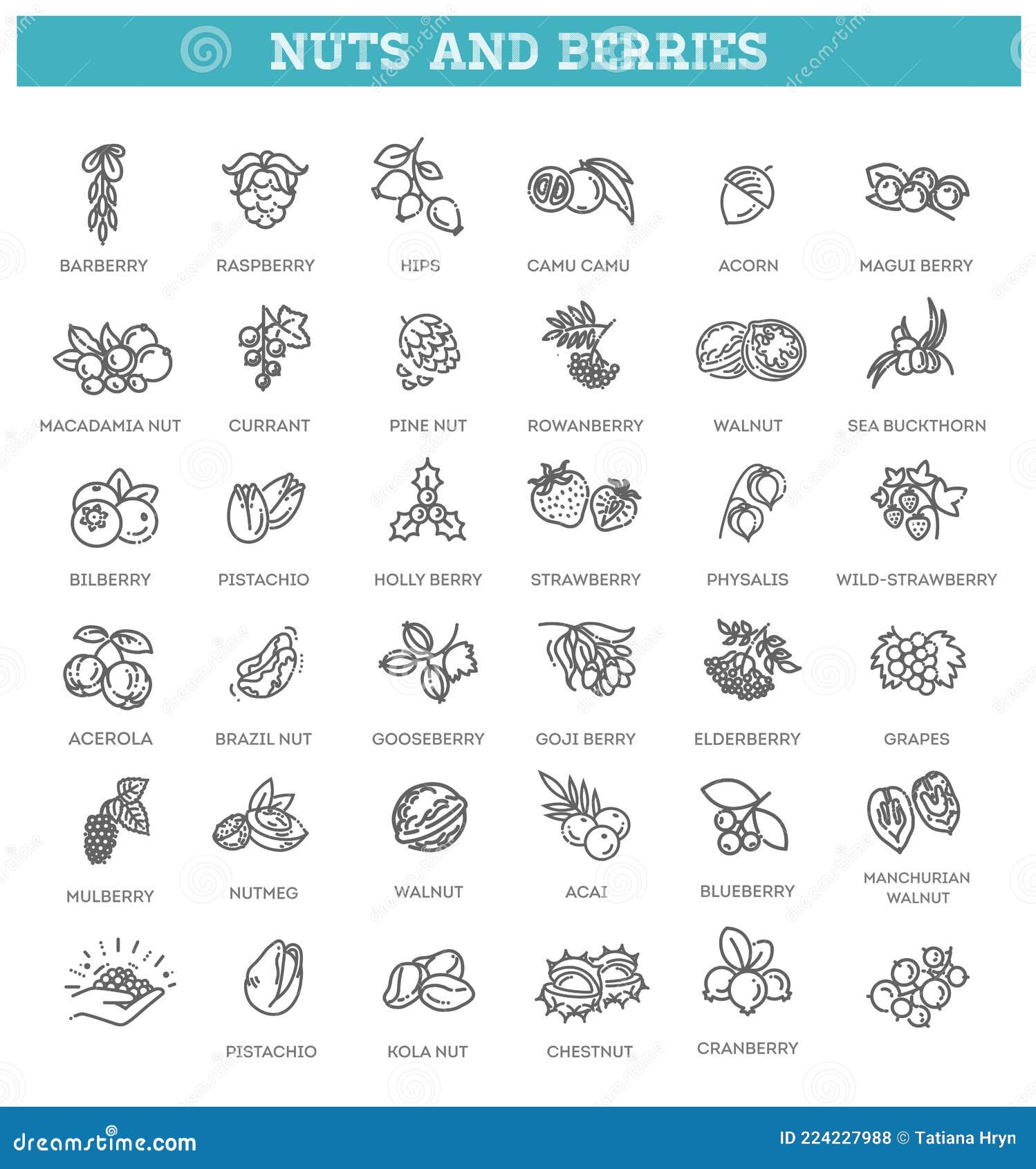 Web Icons Collection - Nuts And Berries. Vector Symbols | CartoonDealer ...