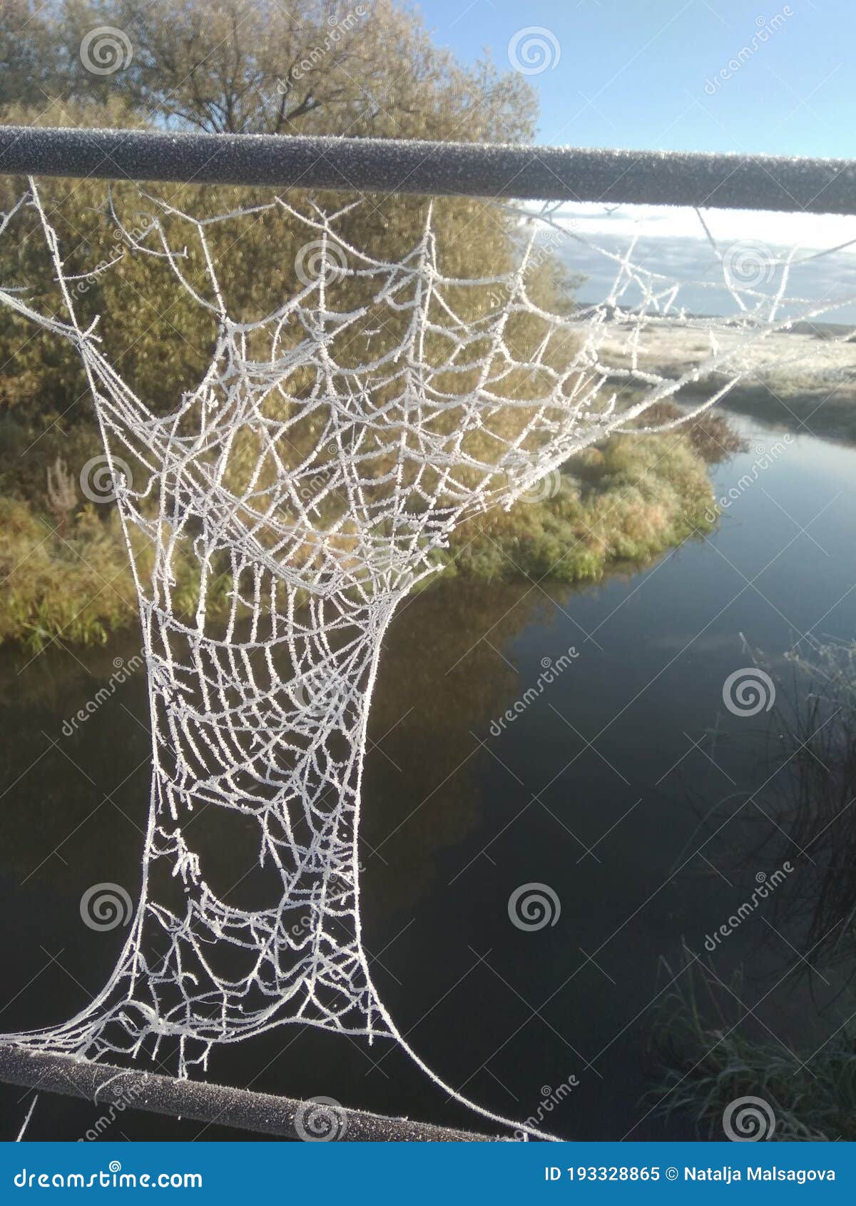 Web of life. stock image. Image of pattern, water, lighting - 193328865