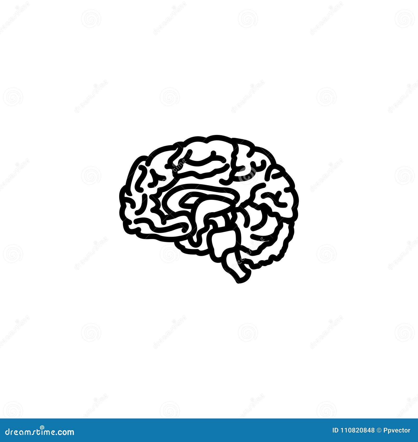 Line icon. Human brain stock vector. Illustration of wisdom - 110820848
