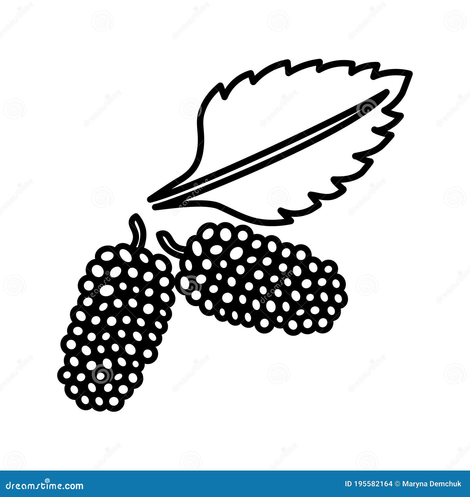 Mulberry Minimalistic Simple Outline Vector Icon Illustration Stock ...