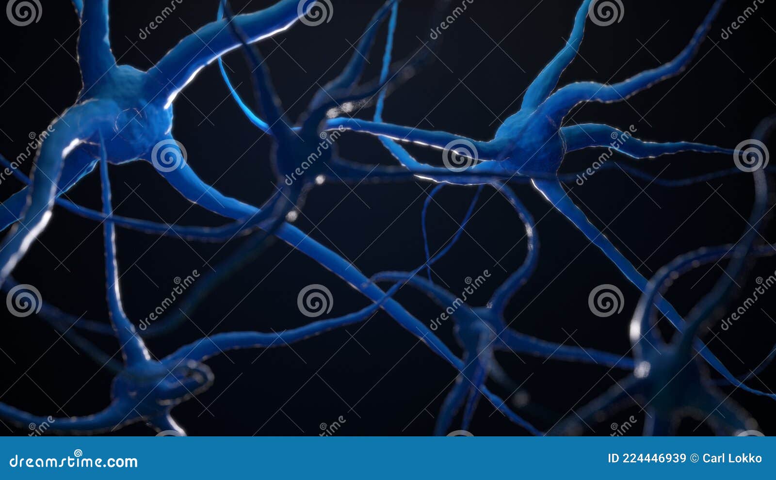 Web Network of Interconnecting Neural Brain Nerve Cells through ... Web Network of Interconnecting Neural Brain Nerve Cells through ...
