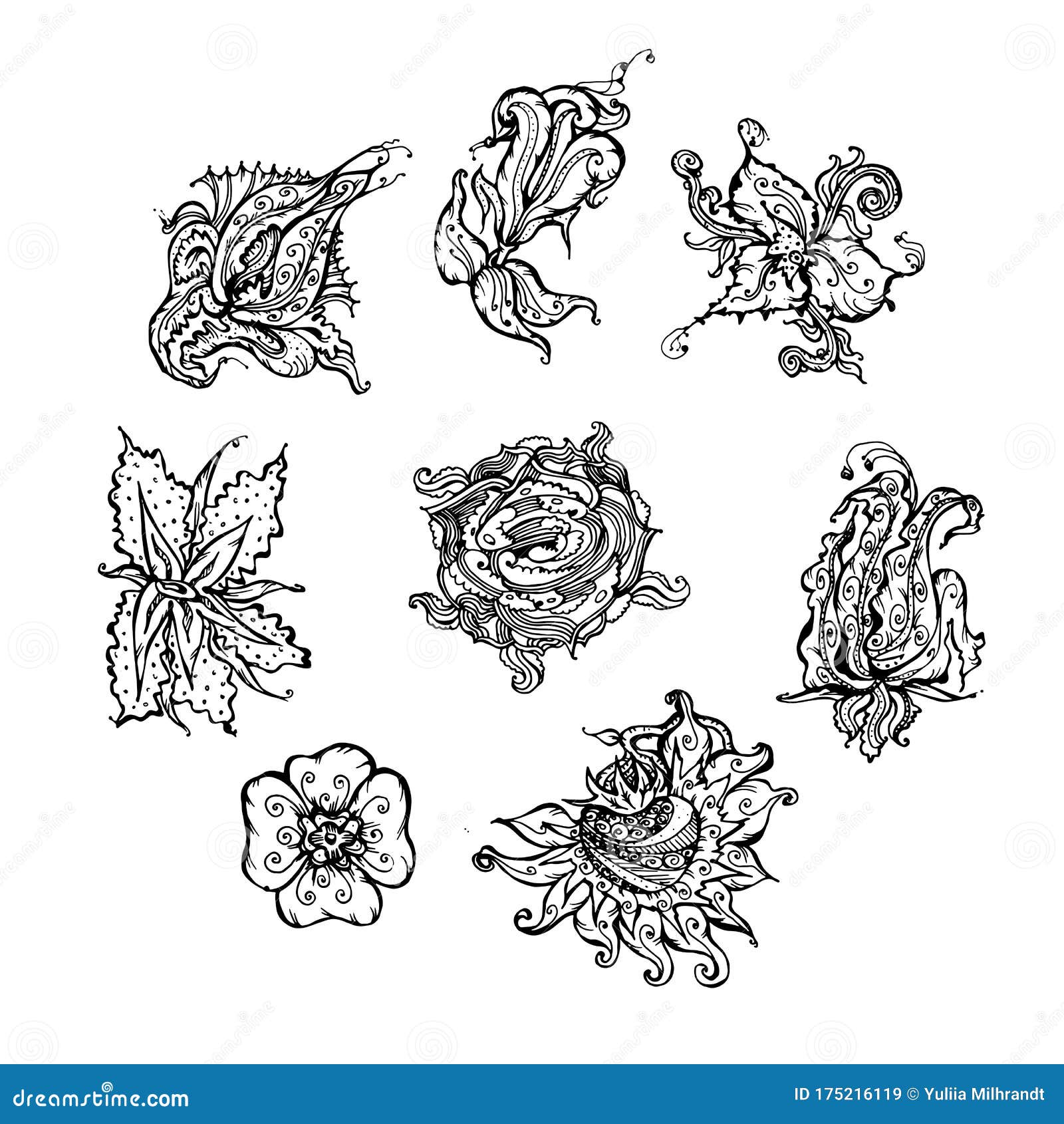 Set of Decorative Floral Design Elements. Hand-drawn Stock Illustration ...