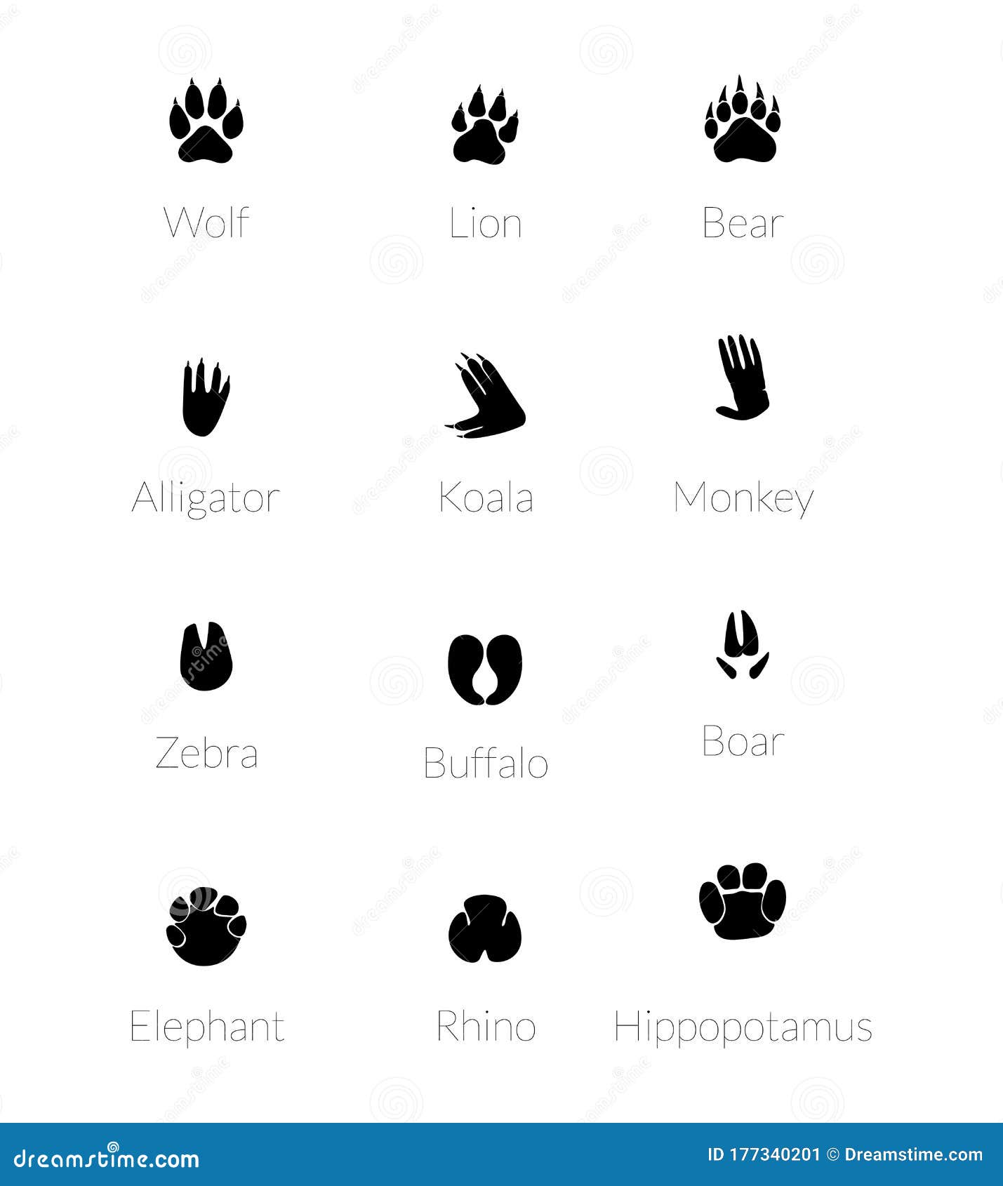 Set of footprints animals stock vector. Illustration of mouse - 177340201