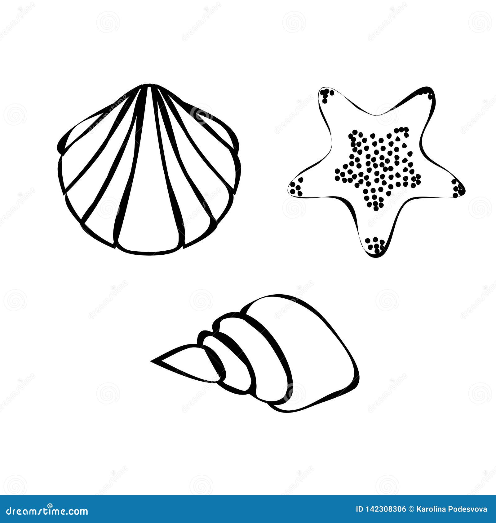 Set of Shell, Conch and Starfish Outline Vector Stock Illustration ...