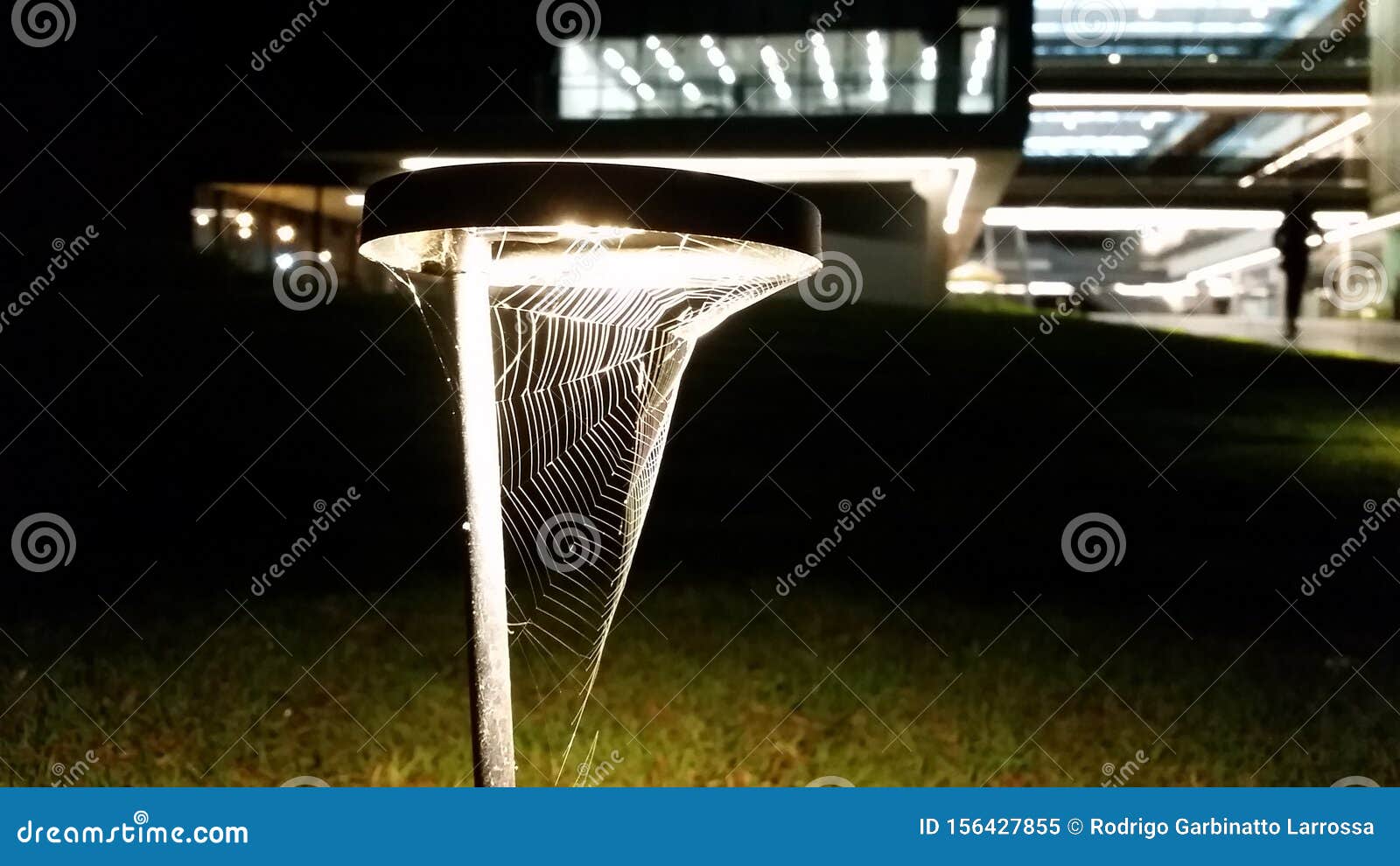 Web-spider-building stock image. Image of night, mistery - 156427855