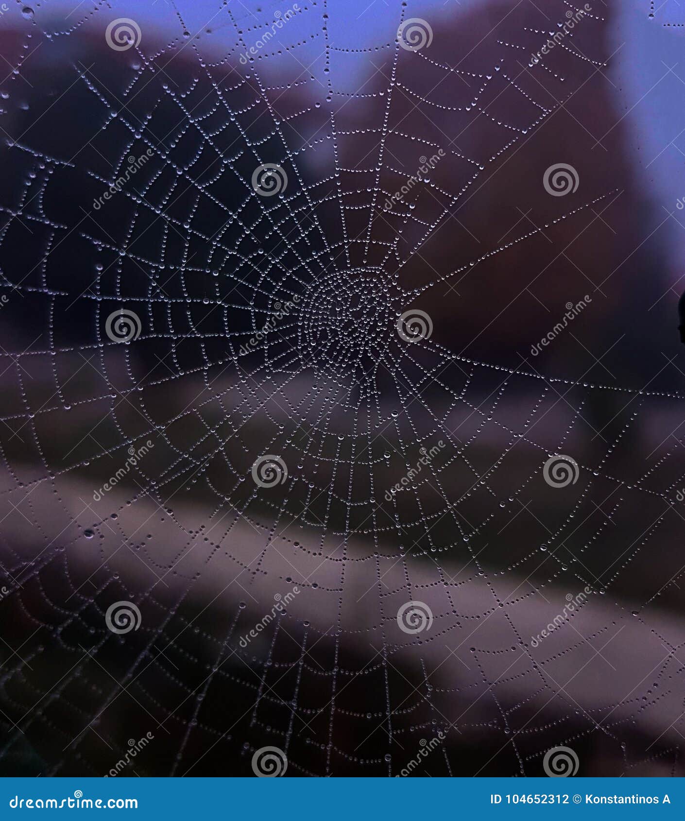 Web Spider Colors Pattern Background Colors Stock Photo - Image of ...