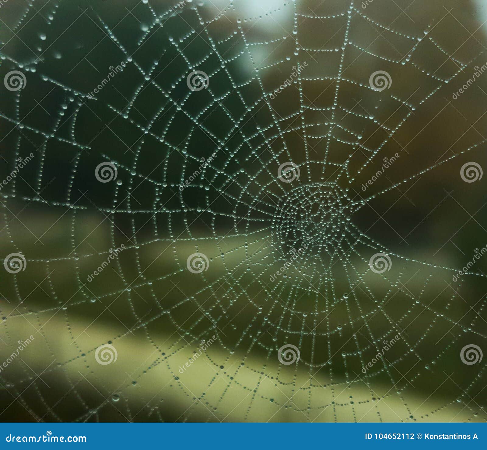 Web Spider Colors Pattern Background Colors Stock Photo - Image of ...