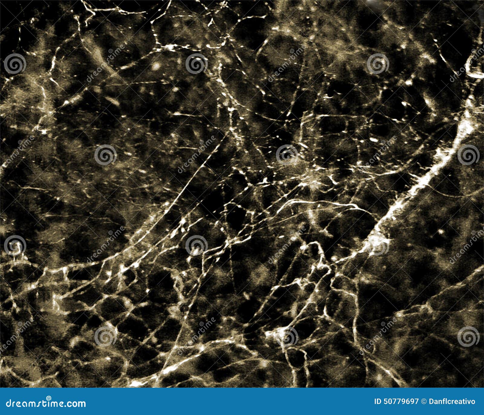 Spider Texture Royalty-Free Stock Image | CartoonDealer.com #146790100