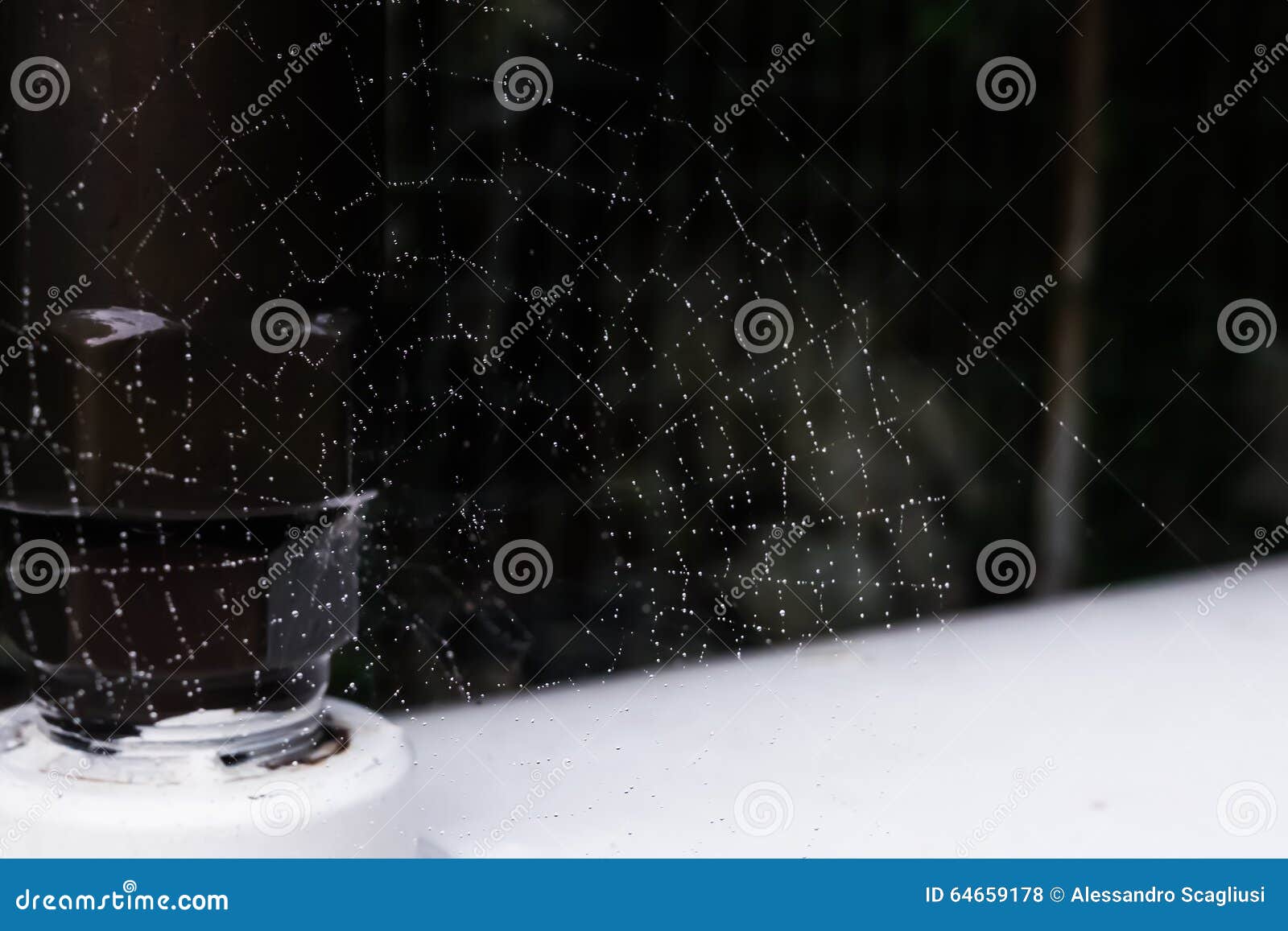 Wet Spider Web In Rain Drops. Summer Nature Details Stock Image ...