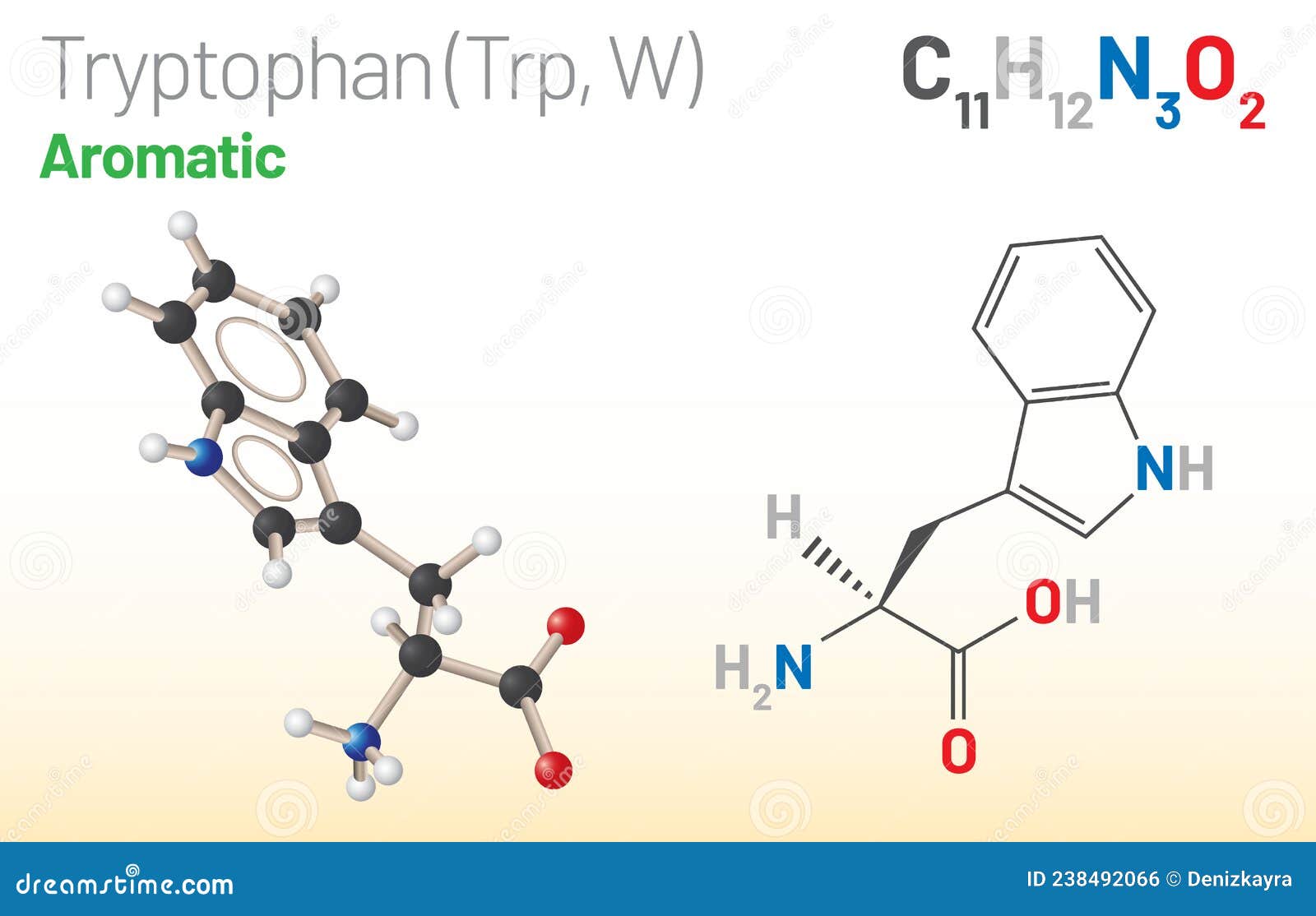 Tryptophan Trp W Amino Acid Molecule Chemical Formula C11h12n2o2 Stock Vector
