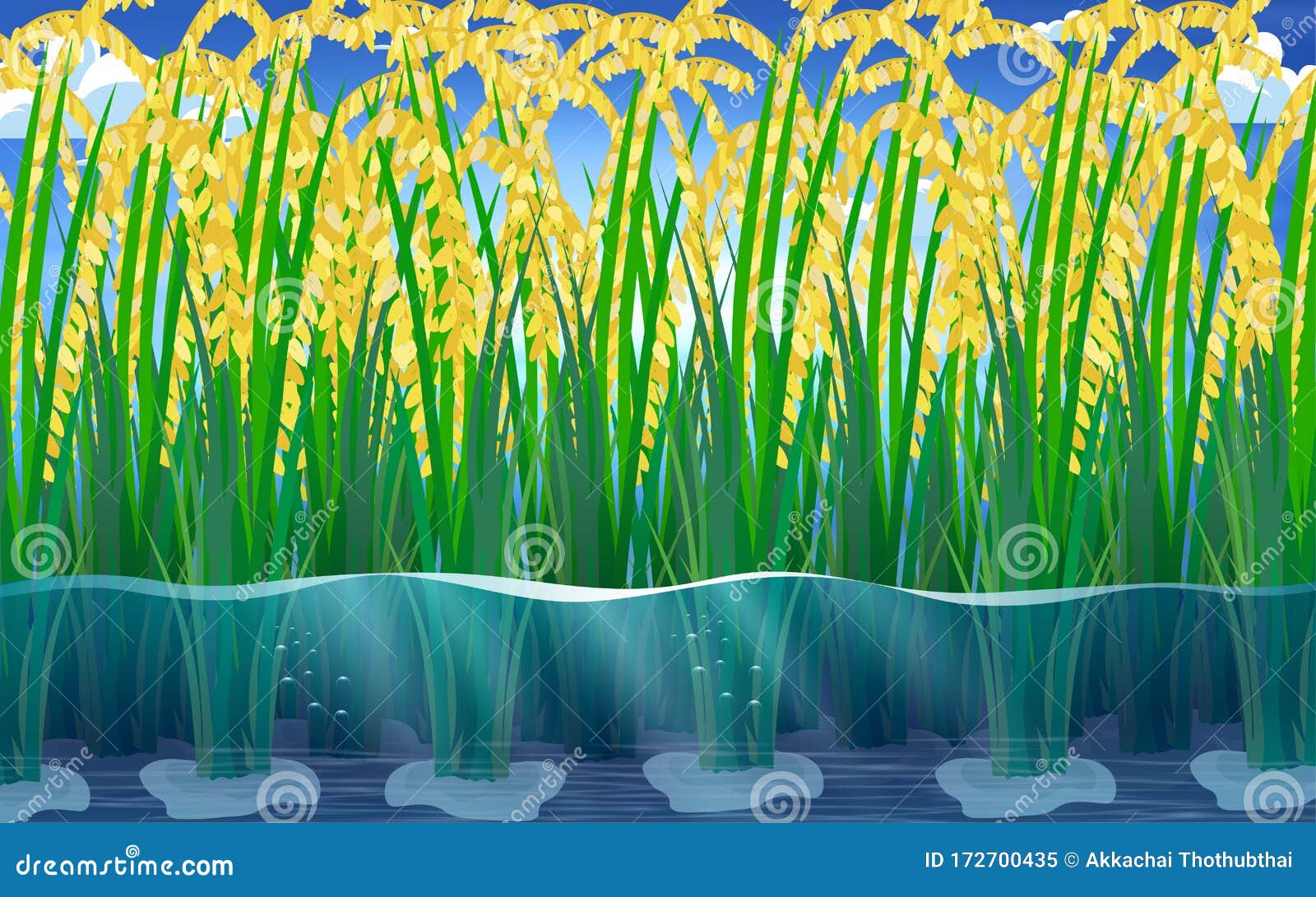 Rice Plants Vector Illustration | CartoonDealer.com #58907142
