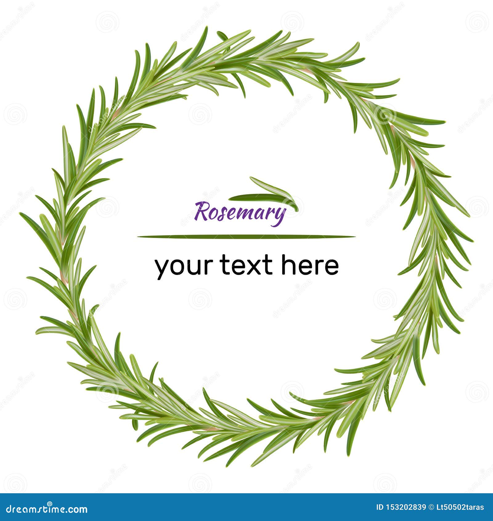 Rosemary Branches Stock Illustrations – 745 Rosemary Branches Stock ...