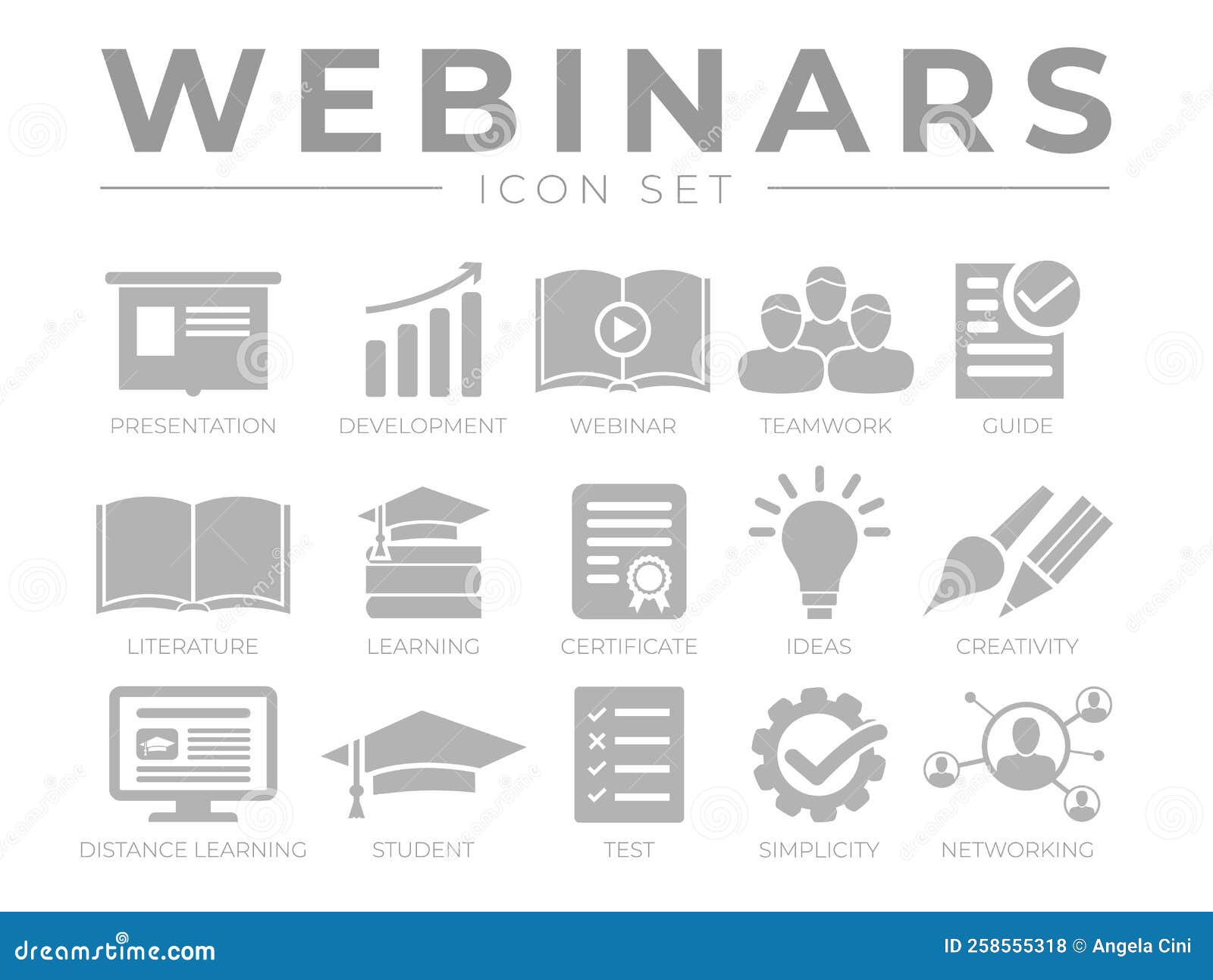 Webinar Icon Set. Presentation, Development, Webinars, Networking ...