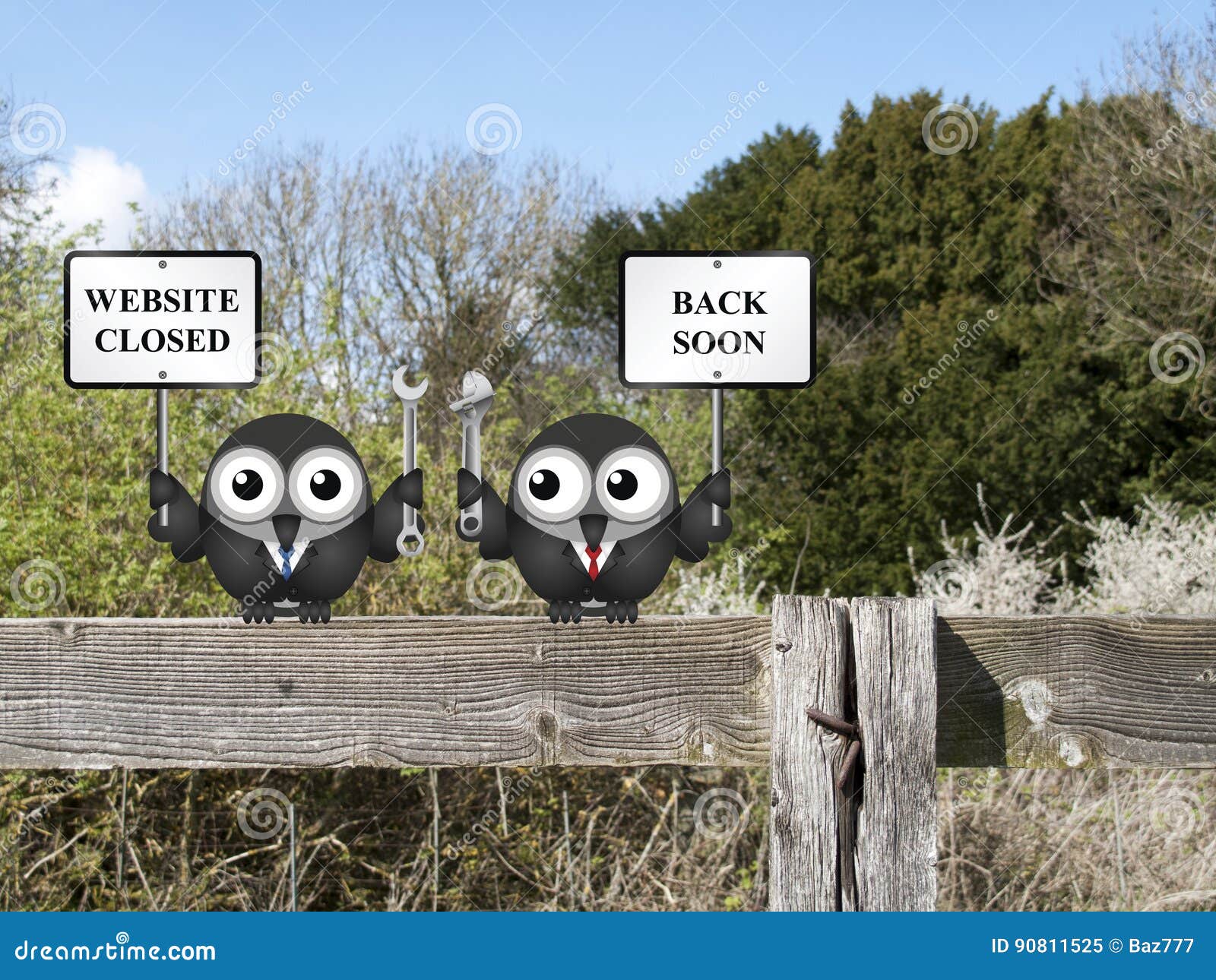 Website closed stock image. Image of expert, bird, computer - 90811525