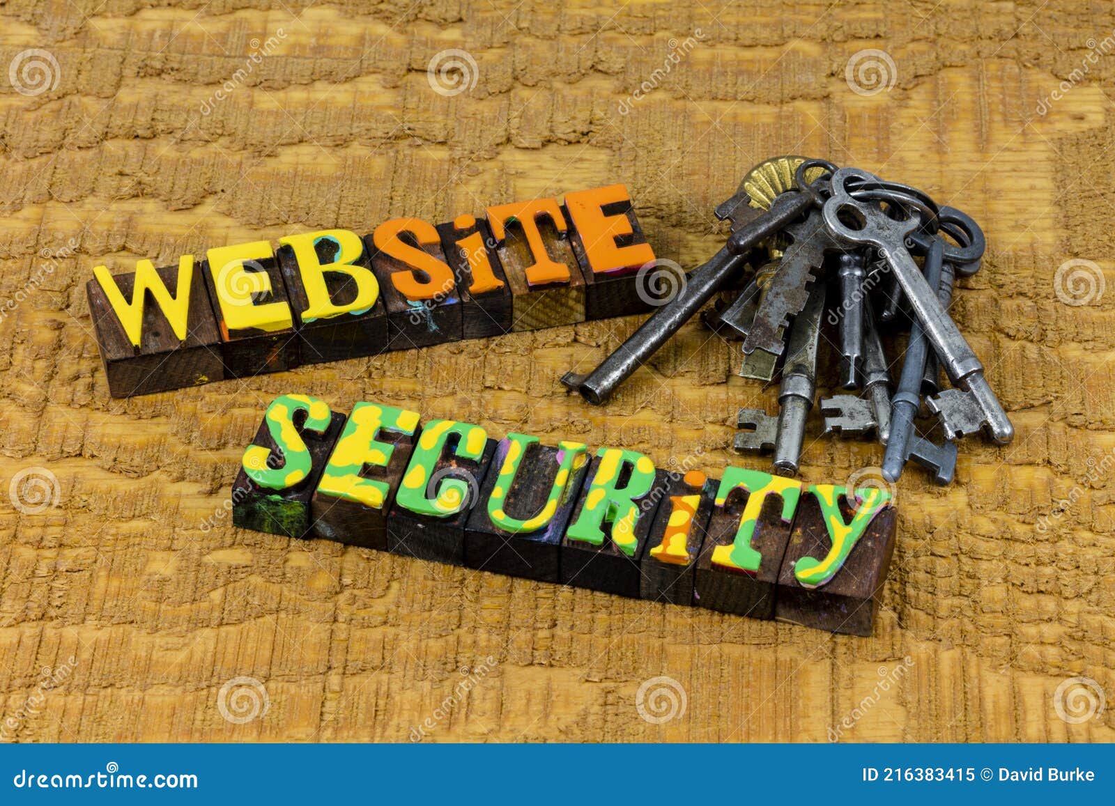 Website Security Internet Protection Secure Protect Network Information ...