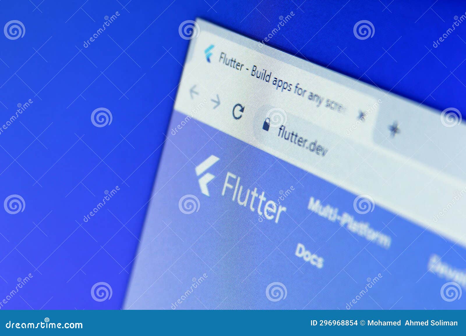Flutter Software Company Logo Editorial Stock Image - Image of cellphone, company: 296968854