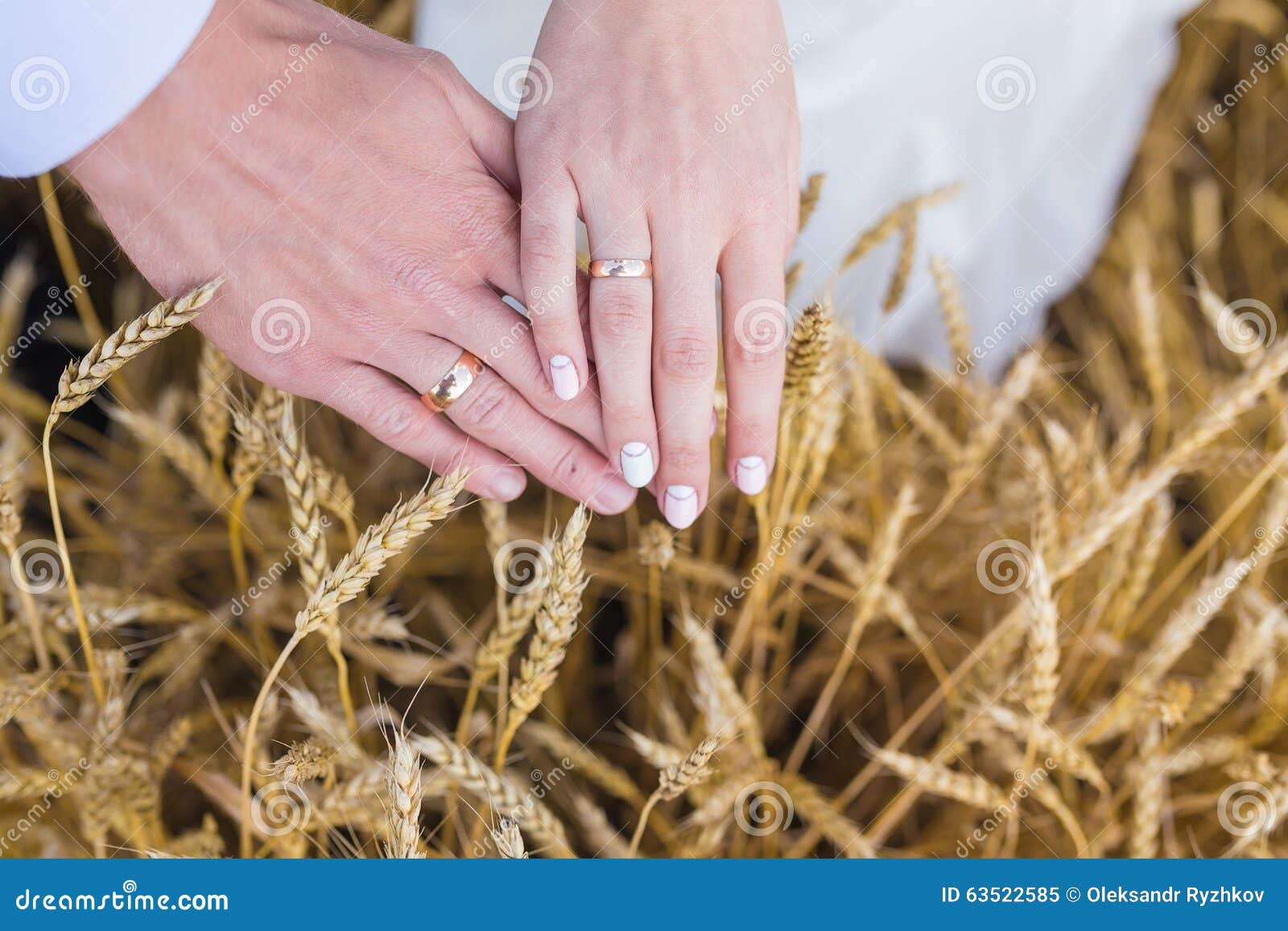 Wed Couple S Hands with Wedding Rings Stock Image - Image of family ...