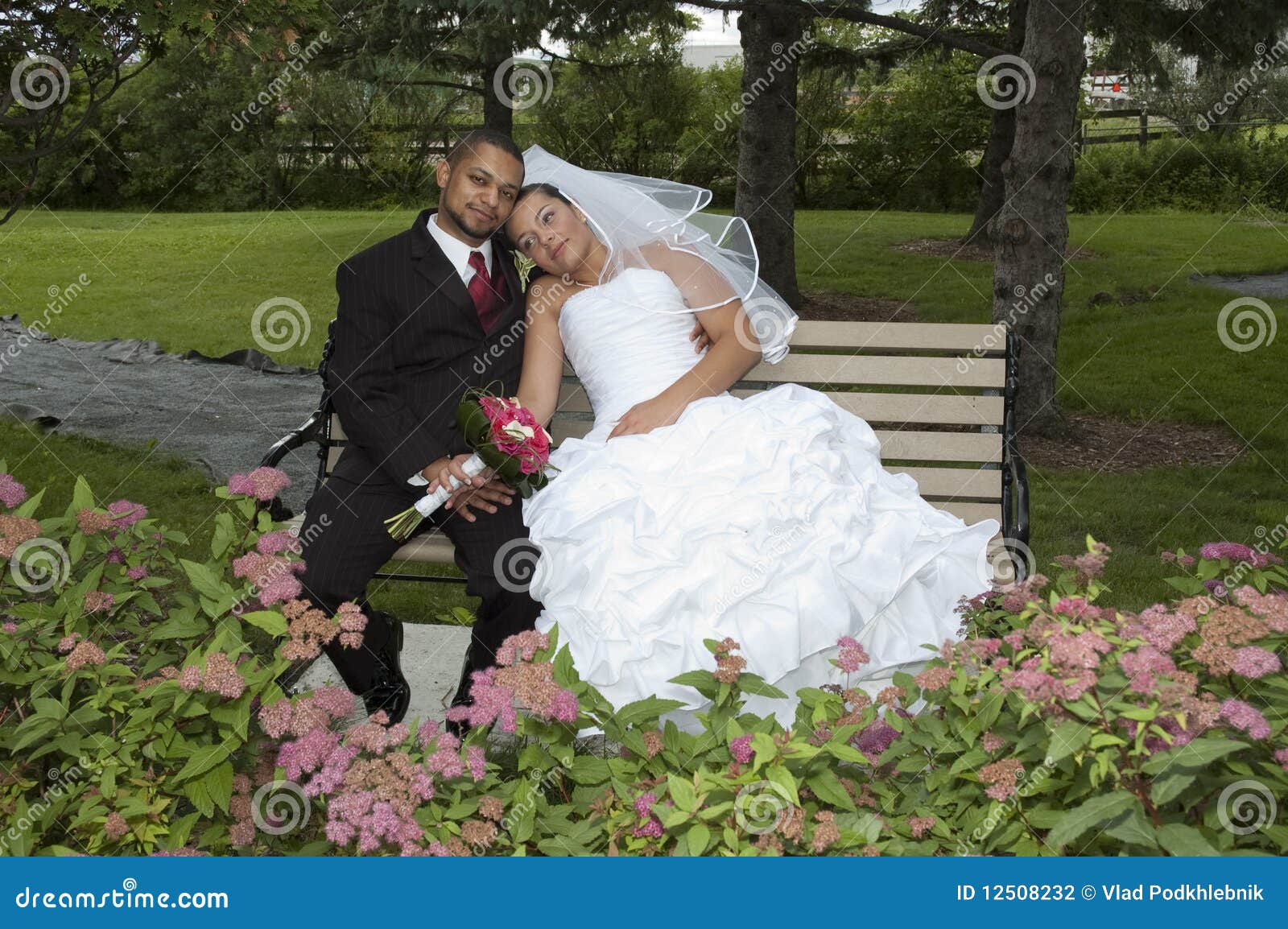 Wedding stock photo. Image of love, human, romance, fresh - 12508232