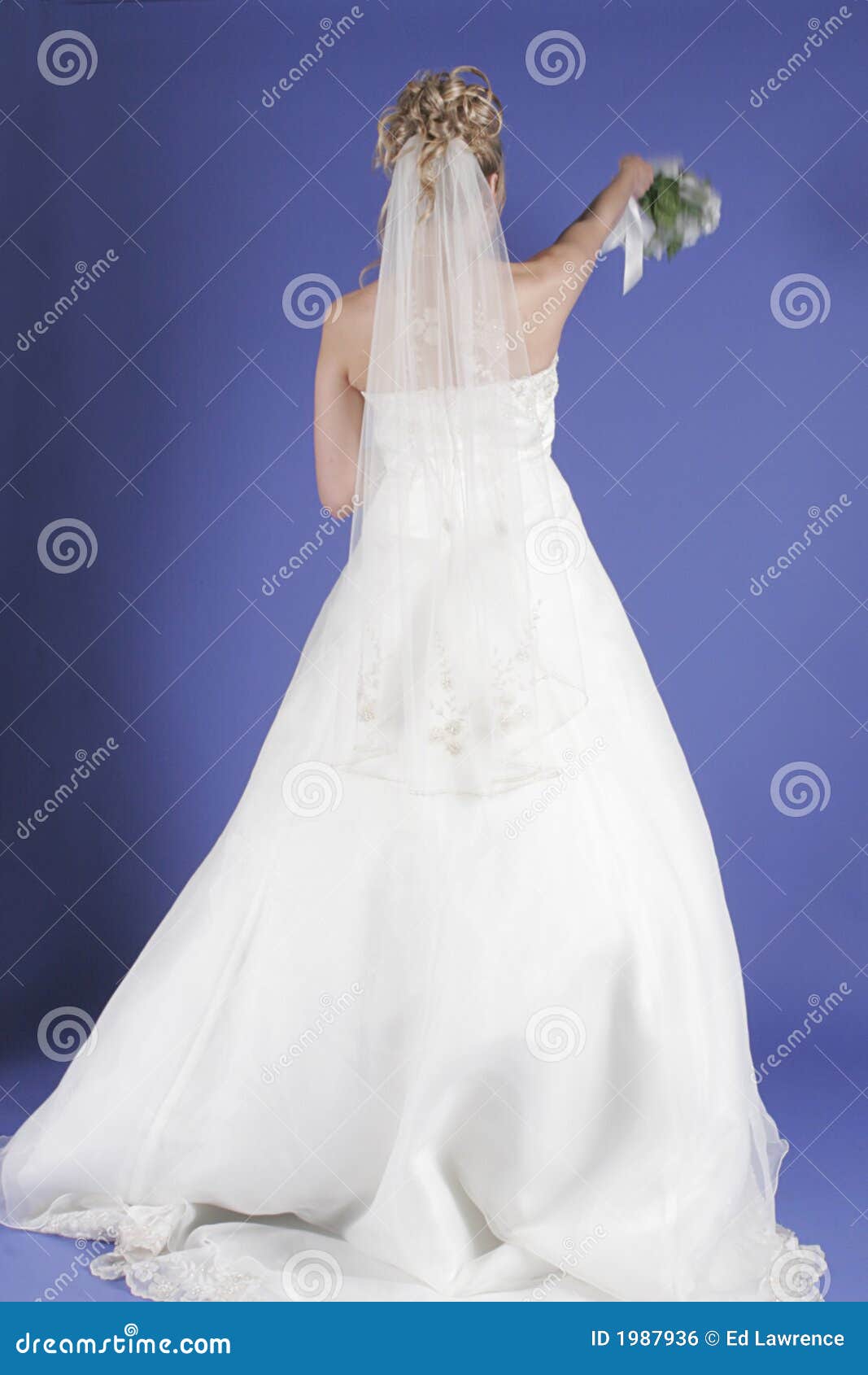 Wedding stock photo. Image of happy, bride, rites, passage - 1987936