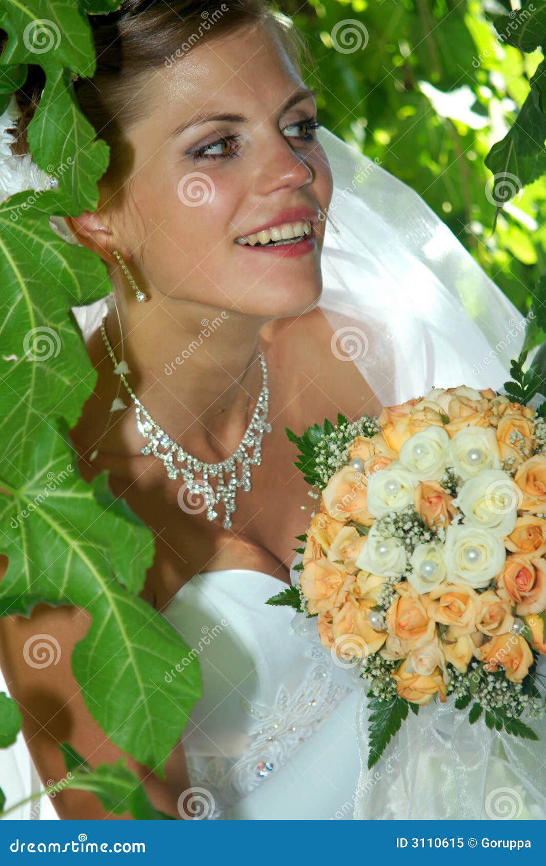 Wedding stock image. Image of veil, woman, girl, wife - 3110615