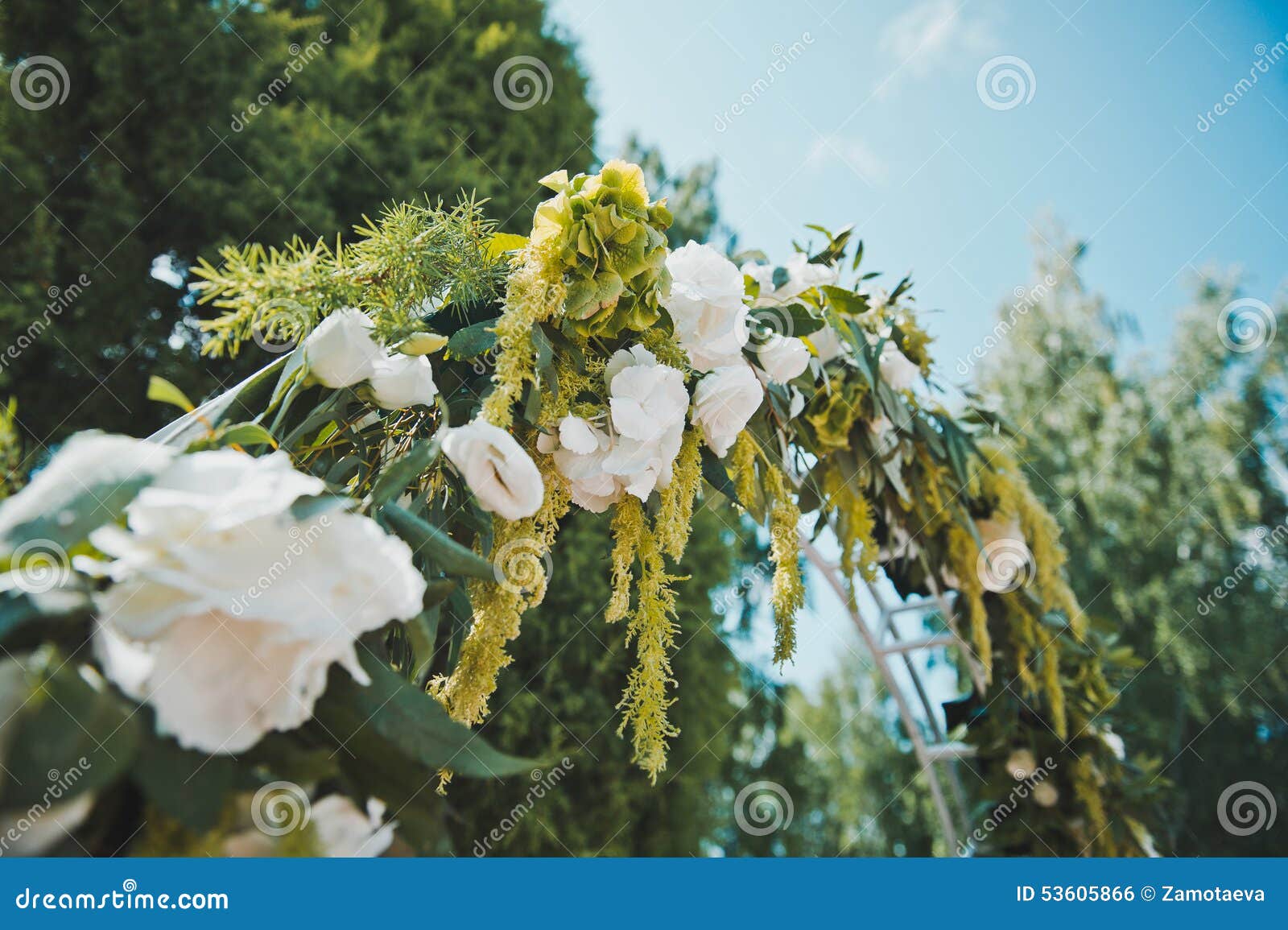 Wedding Arch from Flowers 1358. Stock Photo - Image of flowers, wall ...