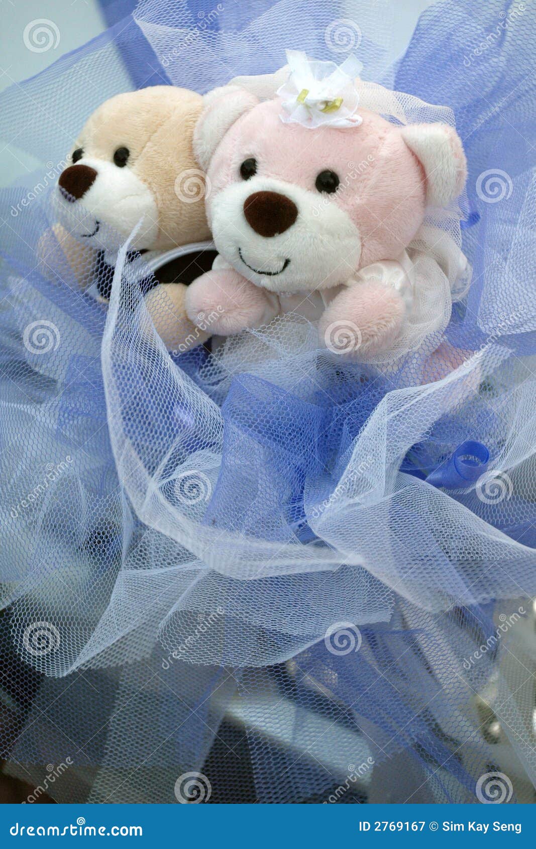 Wedding Bears stock image. Image of designs, animals, bears - 2769167